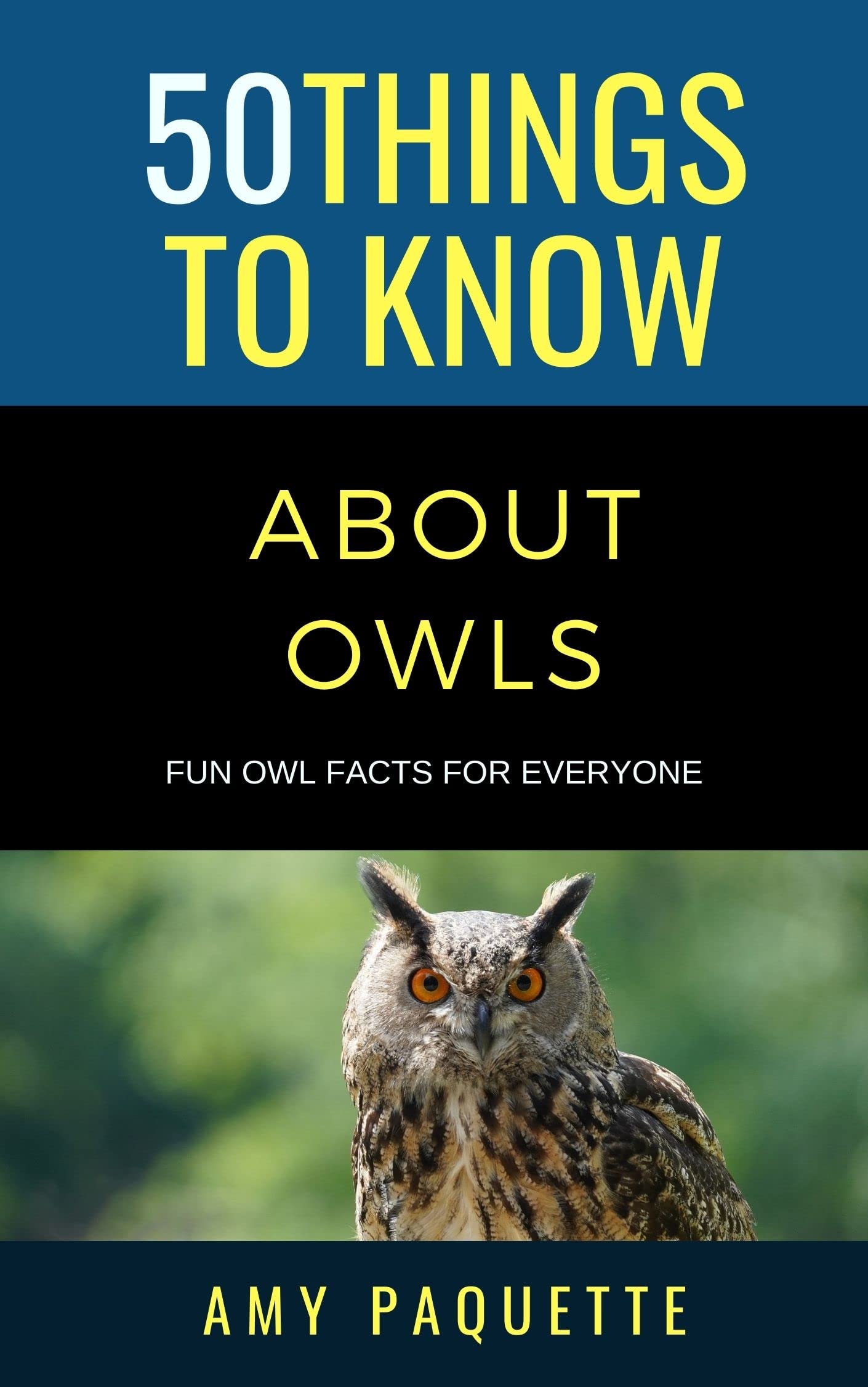 50 Things to Know Owls : Fun Owl Facts for Everyone by Amy Paquette ...