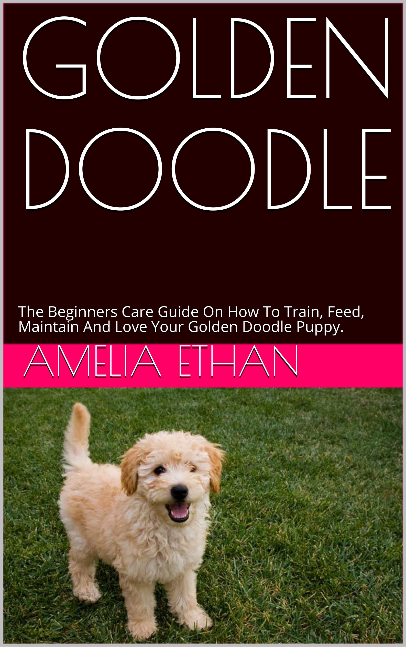 GOLDEN DOODLE: The Beginners Care Guide On How To Train, Feed, Maintain And Love Your Golden ...