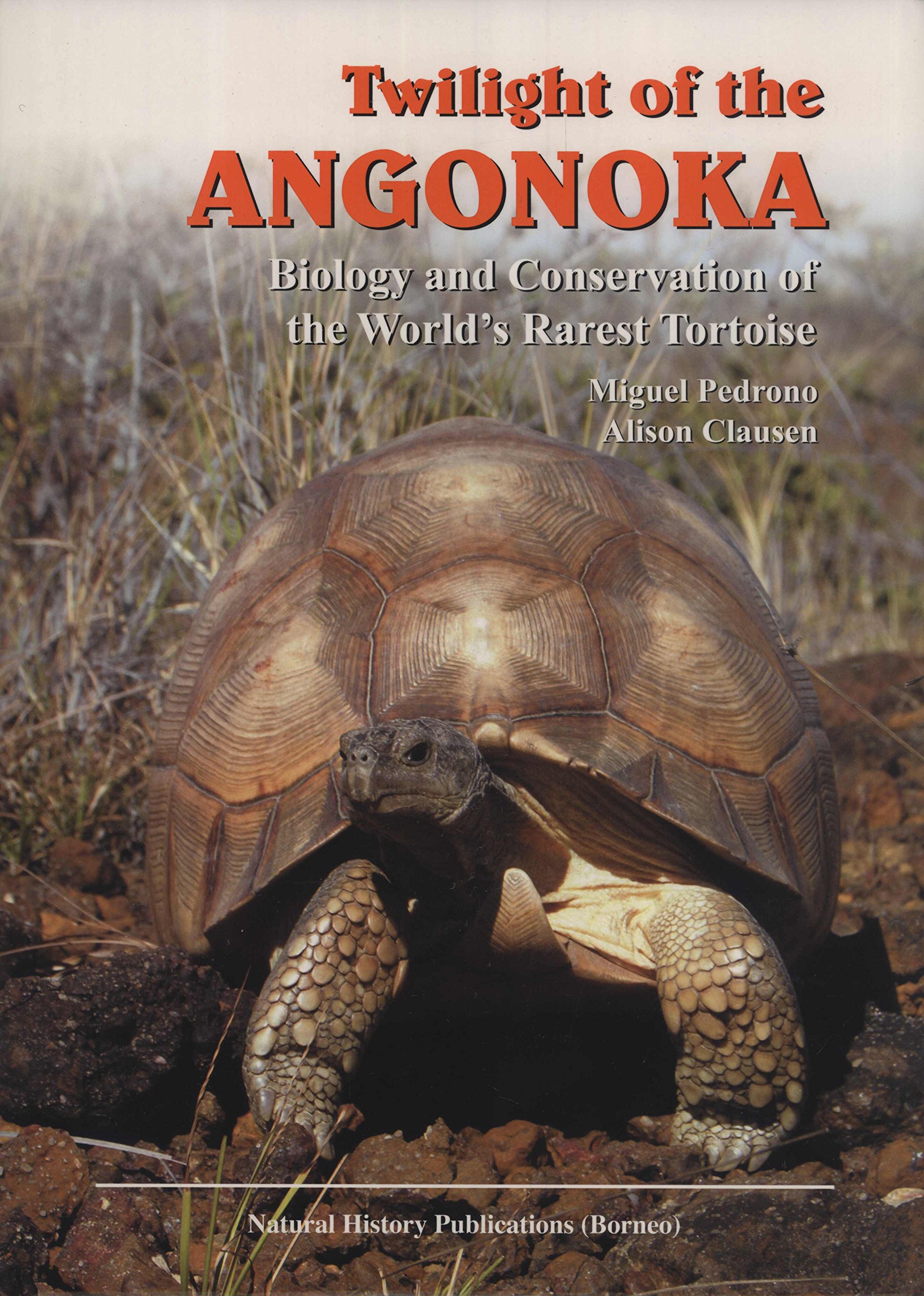 Twilight of the Angonoka: Biology and Conservation of the World’s ...