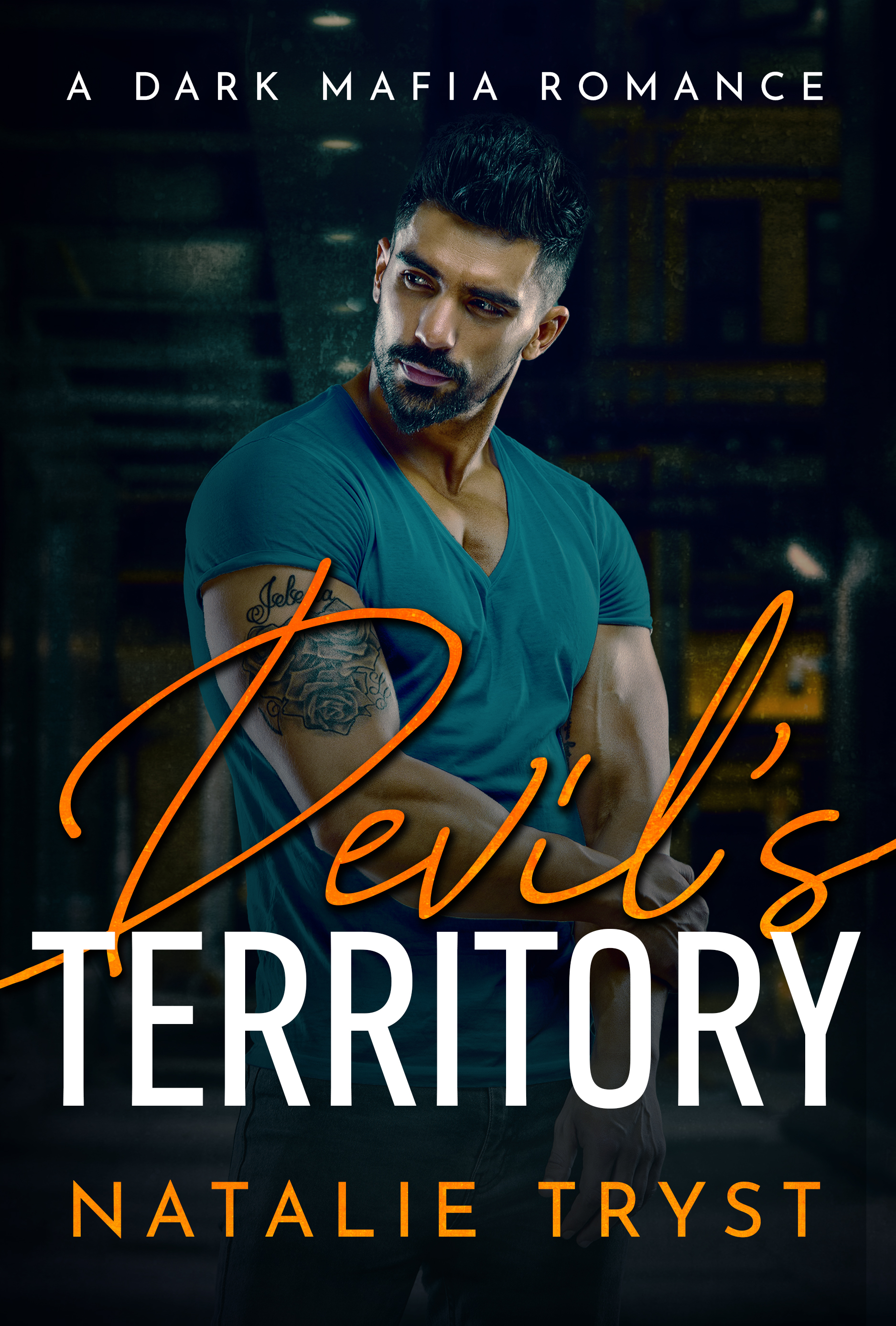 Devil's Territory (Barone Syndicate #0) by Natalie Tryst | Goodreads
