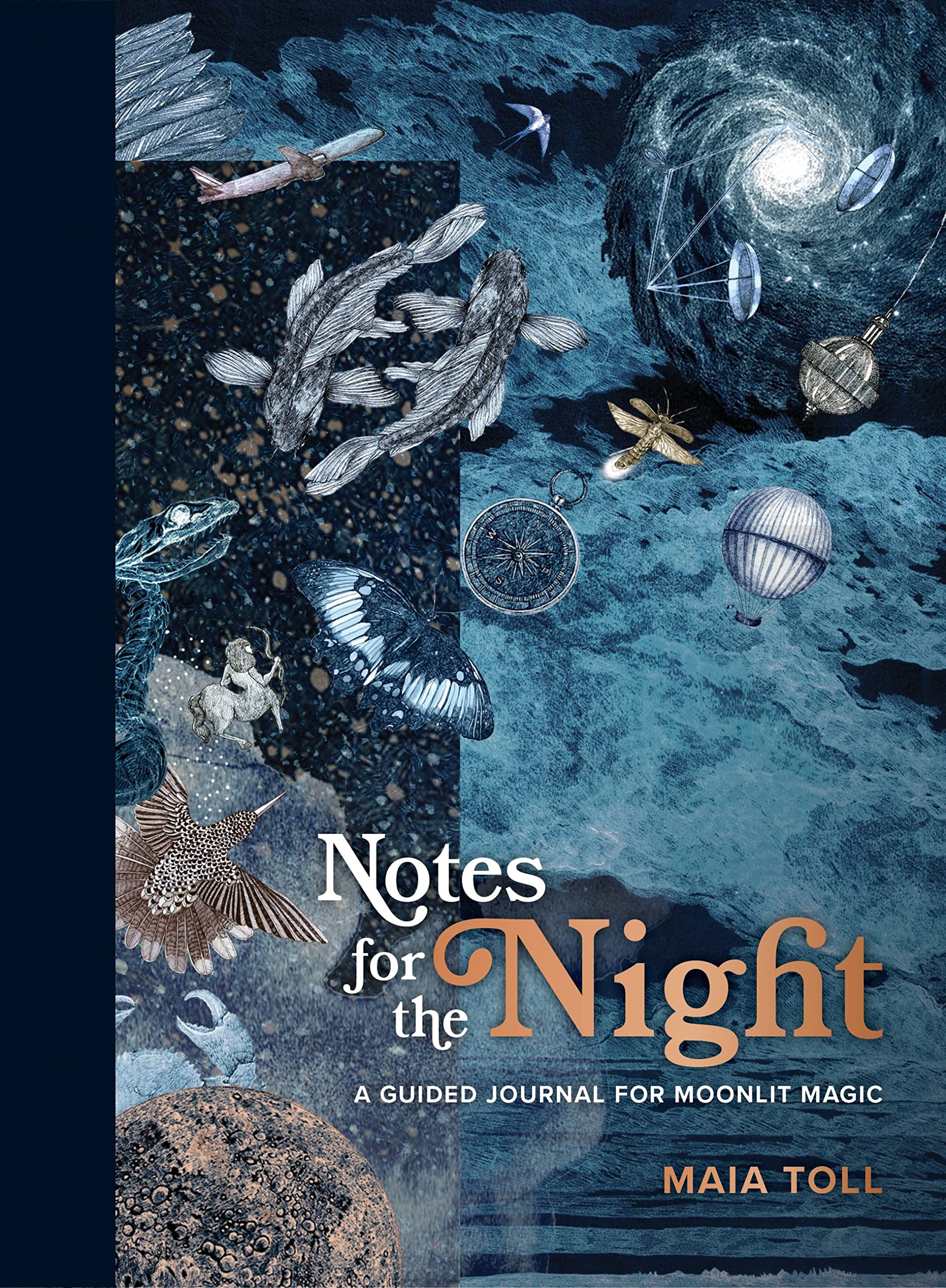 Notes for the Night: A Guided Journal for Moonlit Magic by Maia Toll ...