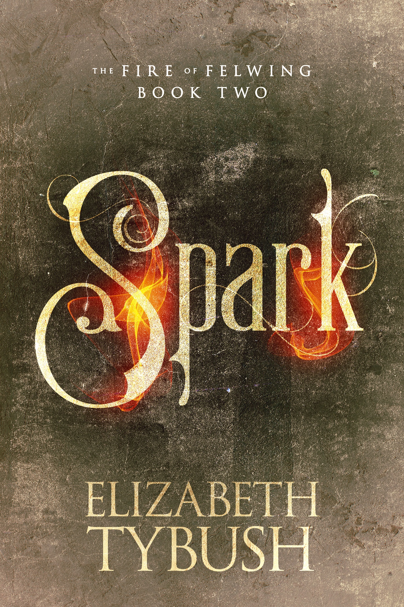 Spark by Elizabeth Tybush | Goodreads