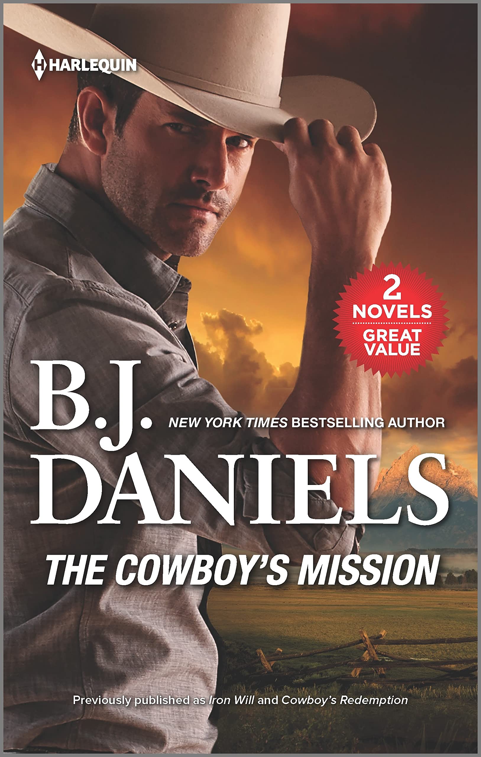 The Cowboy's Mission: A Montana Western Mystery by B.J. Daniels | Goodreads