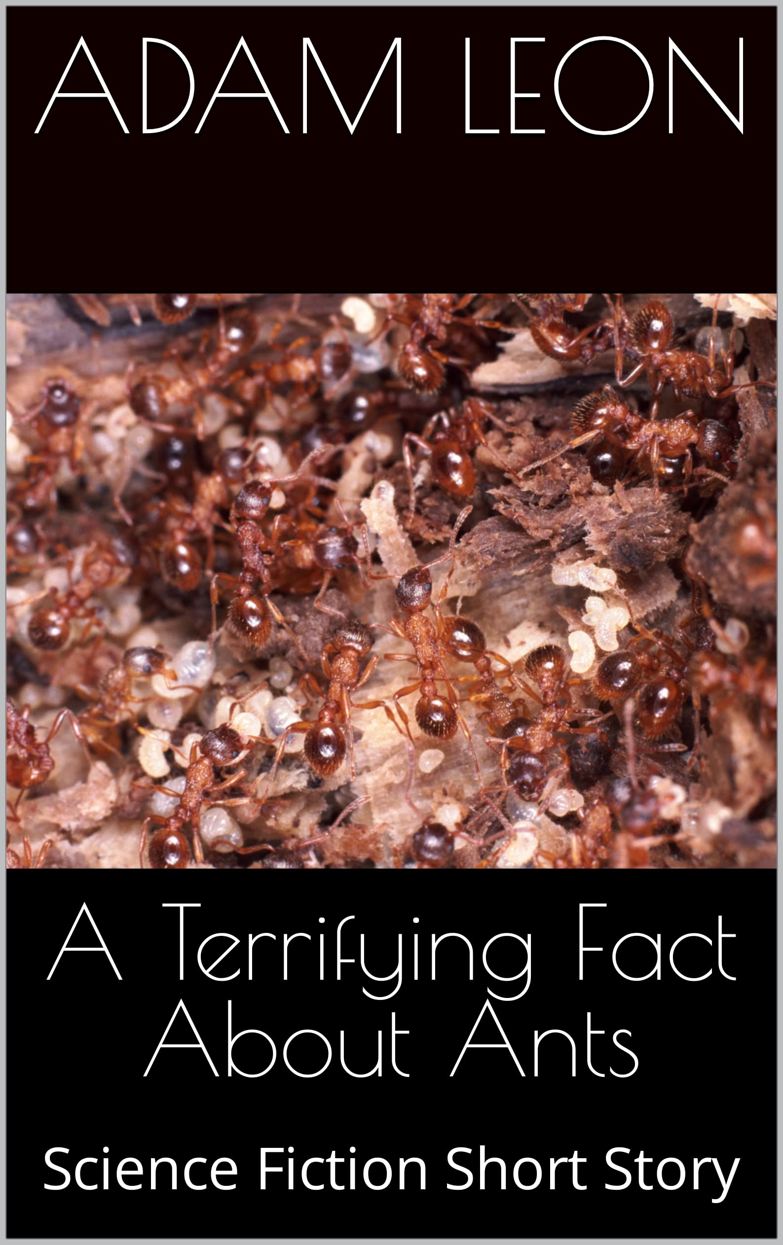A Terrifying Fact About Ants: Science Fiction Short Story by Adam Leon ...