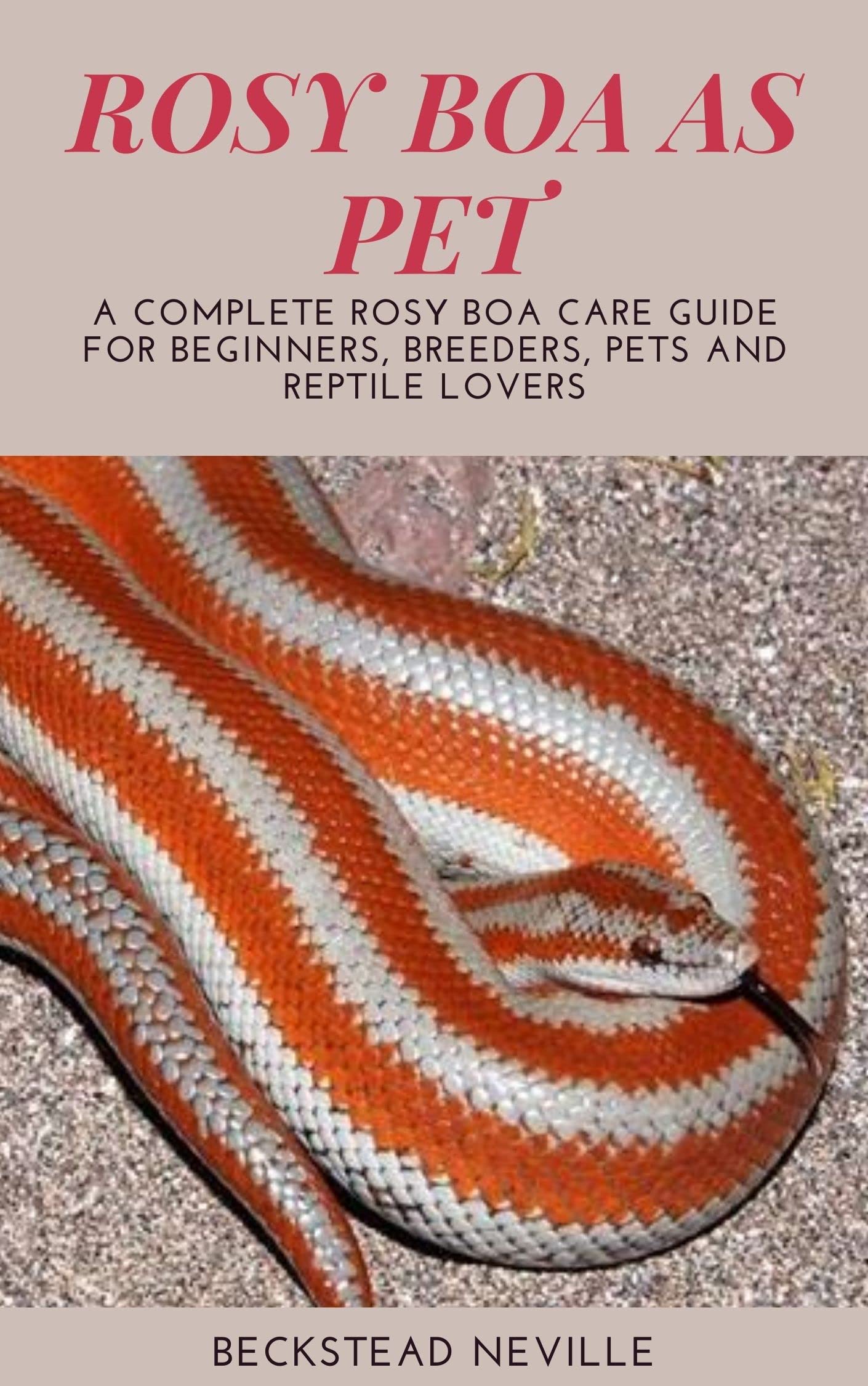 ROSY BOA AS PET A Complete Rosy Boa Care Guide For Beginners Breeders rosy-boa-as-pet-a-complete-rosy-boa-care-guide-for-beginners-breeders
