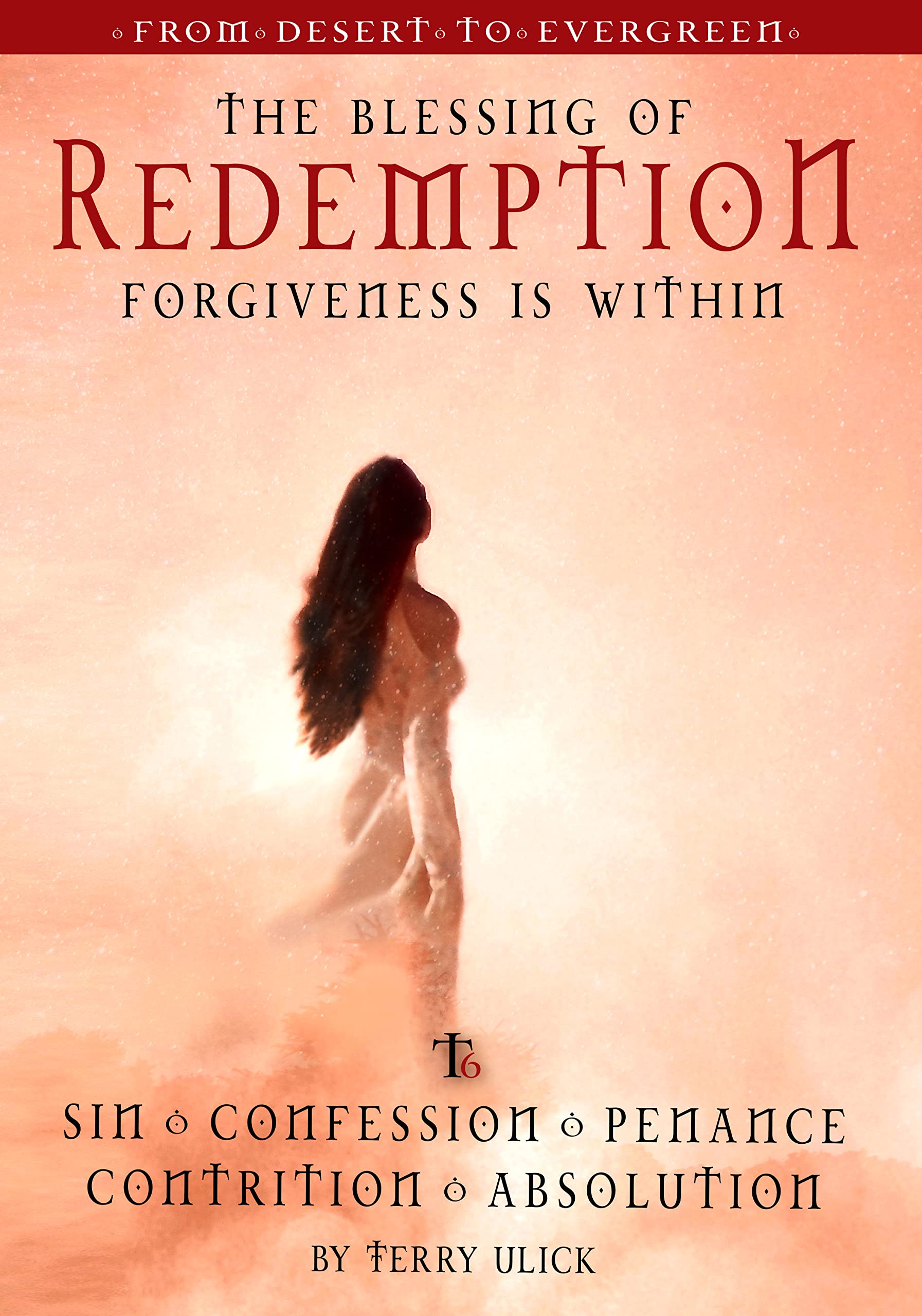 Blessing of Redemption: T: Demonic Investigator 6: Beyond T by Terry Ulick | Goodreads