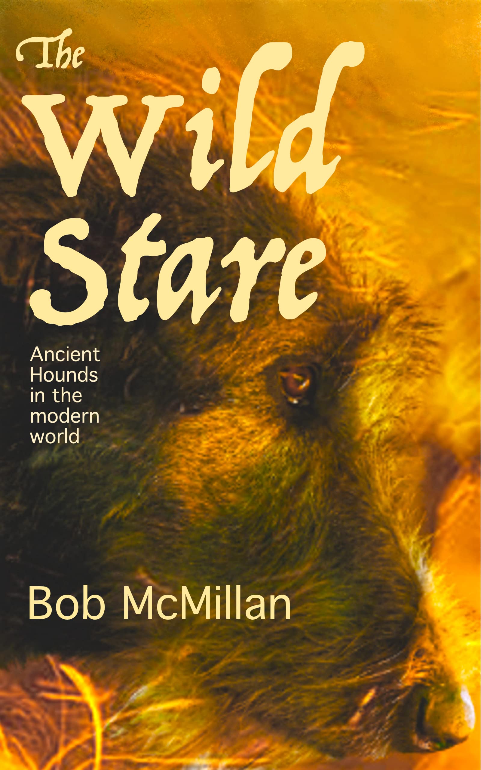 The Wild Stare: Ancient Hounds in the Modern World by Bob McMillan ...