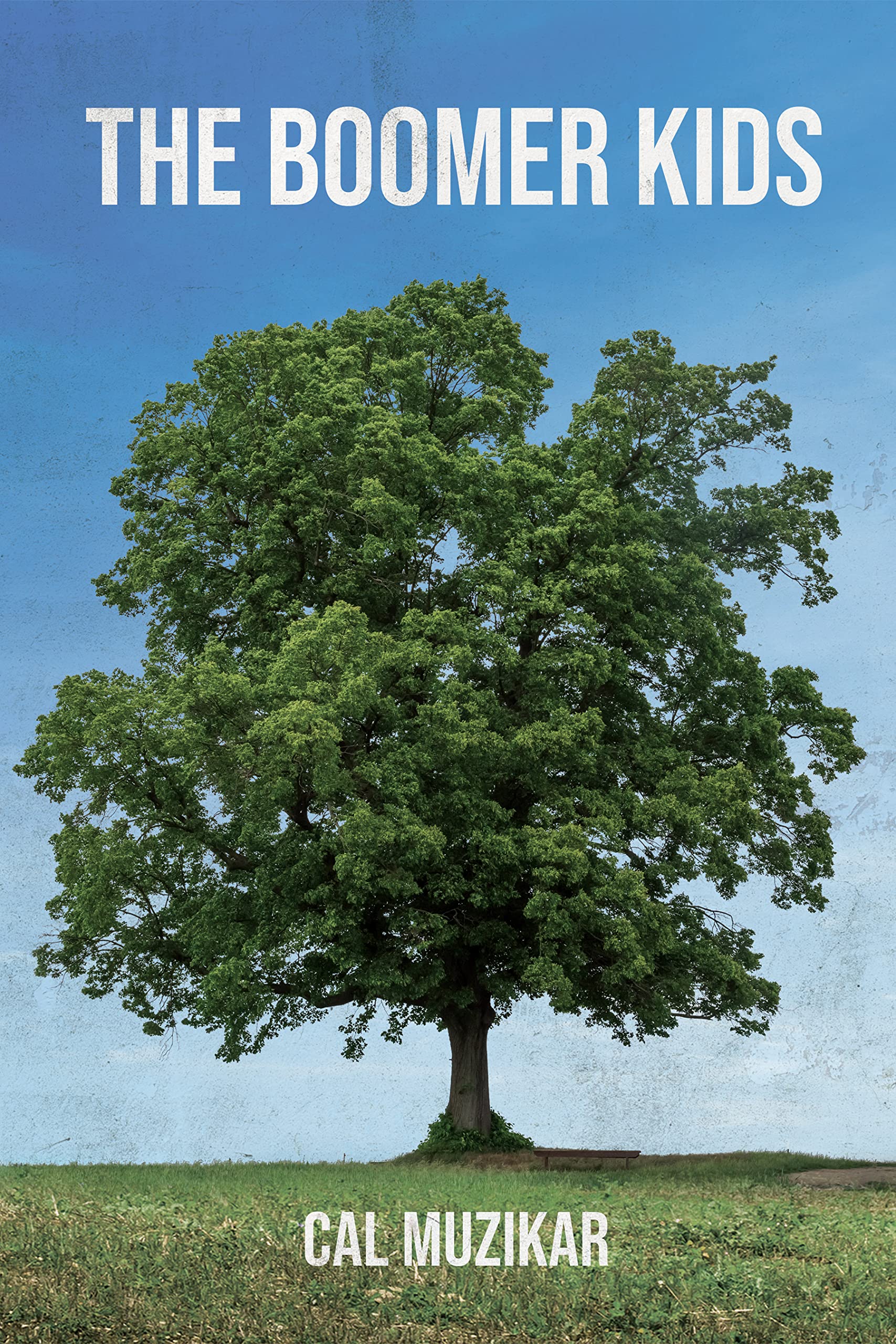 The Boomer Kids by Cal Muzikar | Goodreads