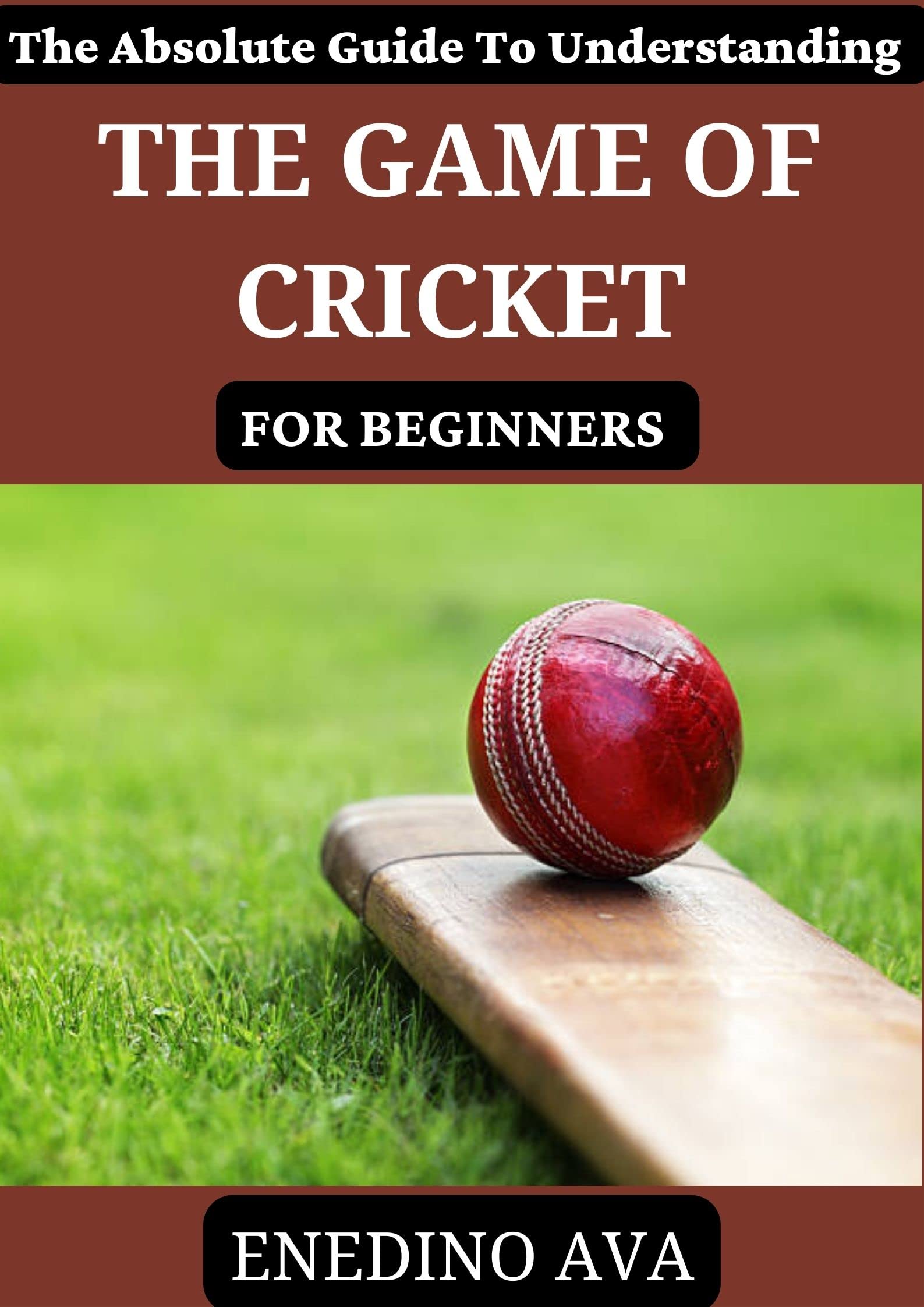 The Absolute Guide To Understanding The Game Of Cricket For Beginners ...