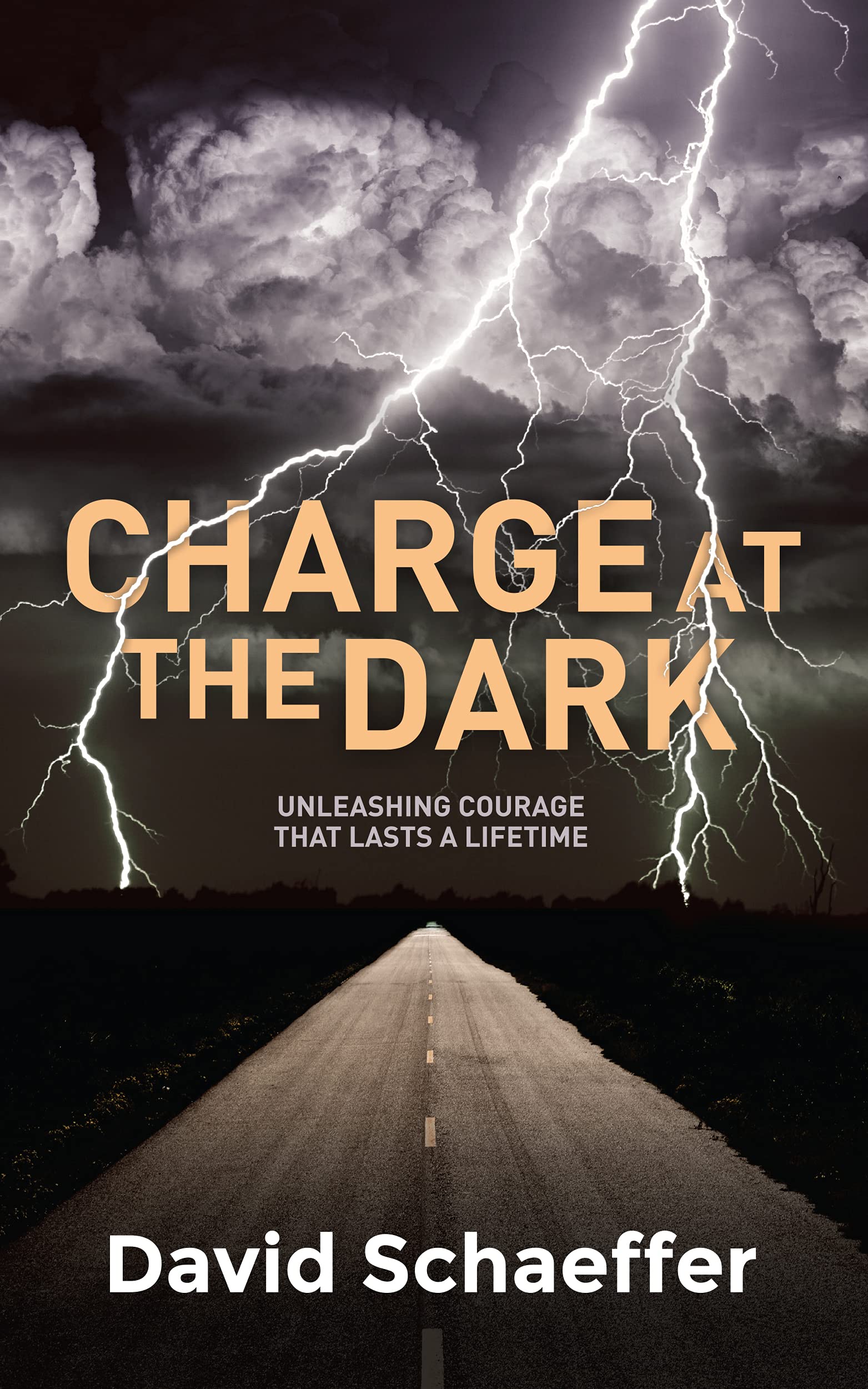 Charge at the Dark: Unleashing Courage that lasts a Lifetime by David ...