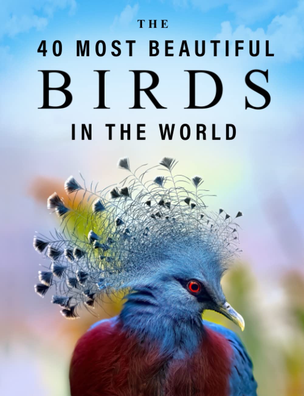 The 40 Most Beautiful Birds in the World: A full color picture book for ...