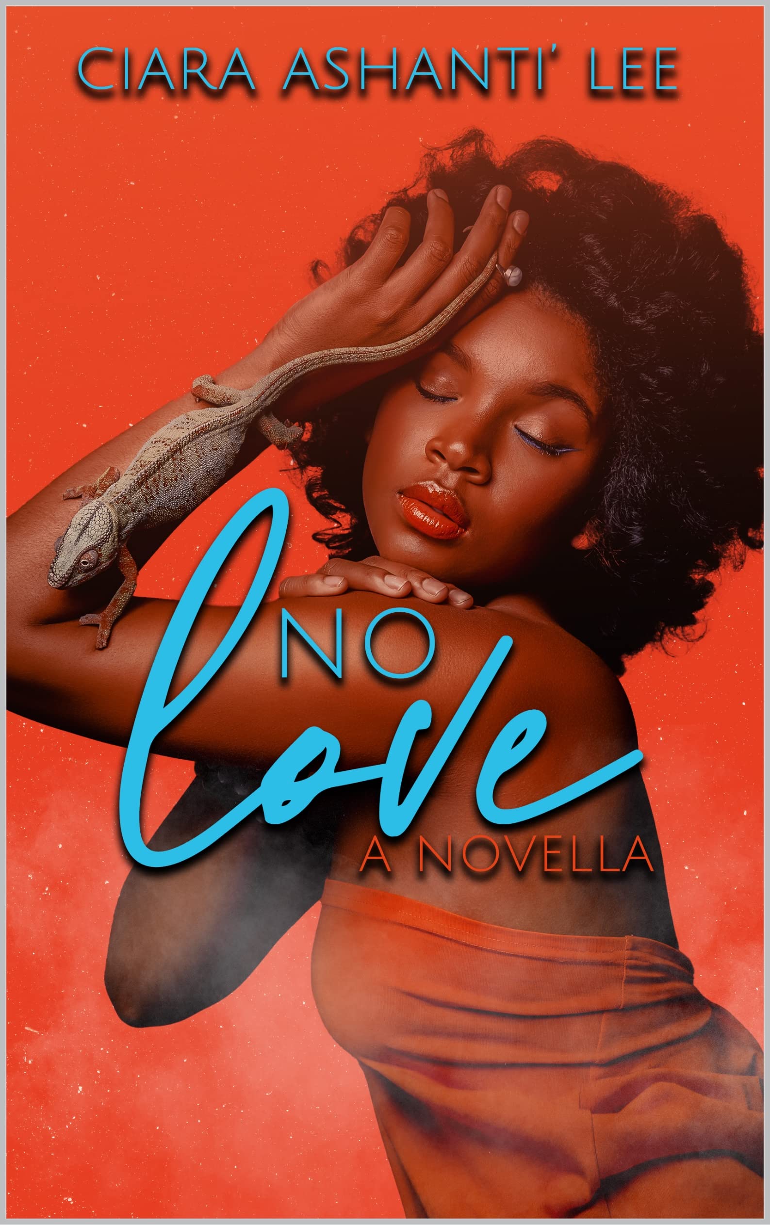 NO LOVE : A NOVELLA (No Love: A Novella Book 1) by Ciara Ashanti’ Lee | Goodreads