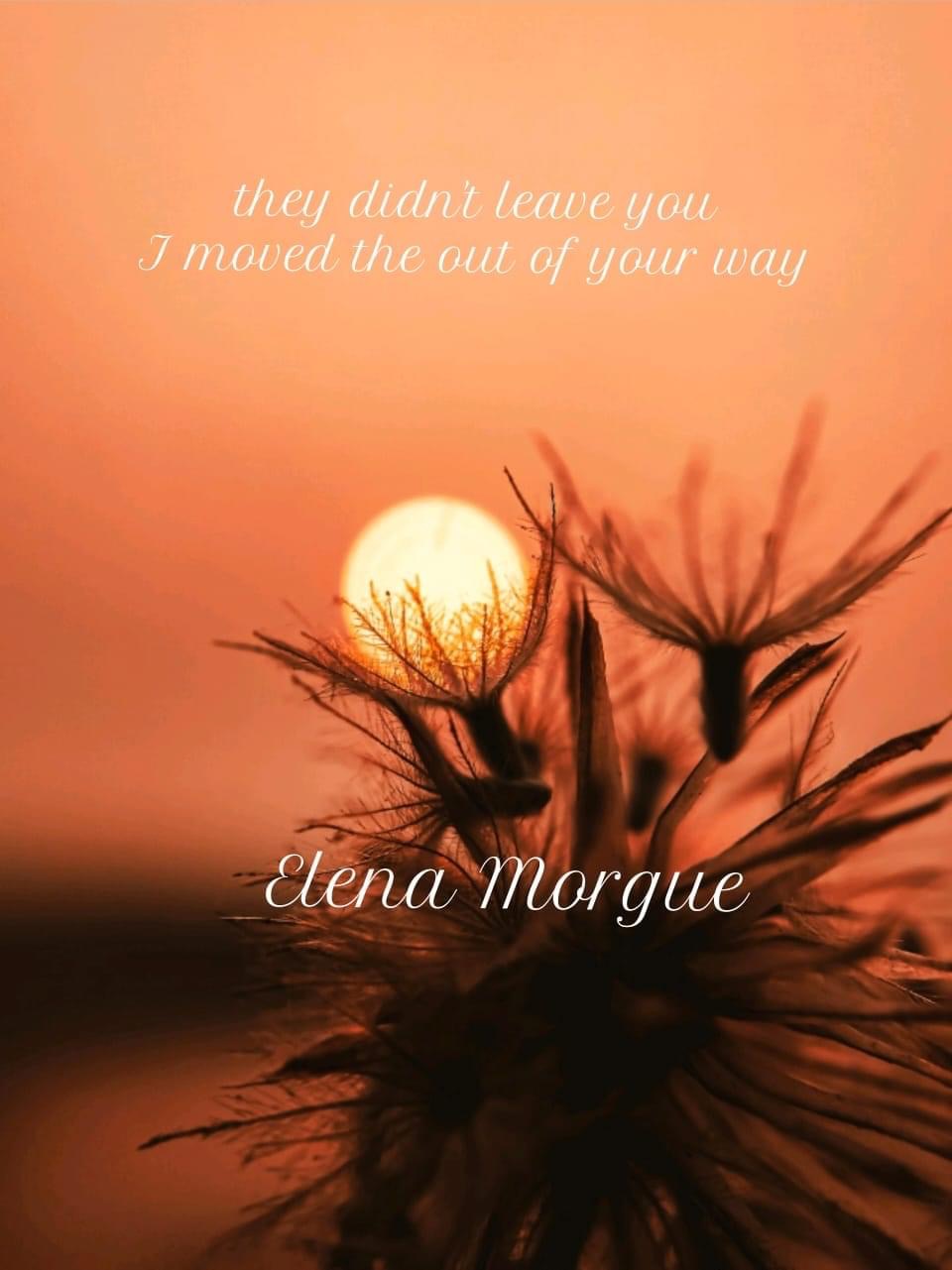 They Didn t Leave You I Moved Them Out Of Your Way By Elena Morgue they-didn-t-leave-you-i-moved-them-out-of-your-way-by-elena-morgue
