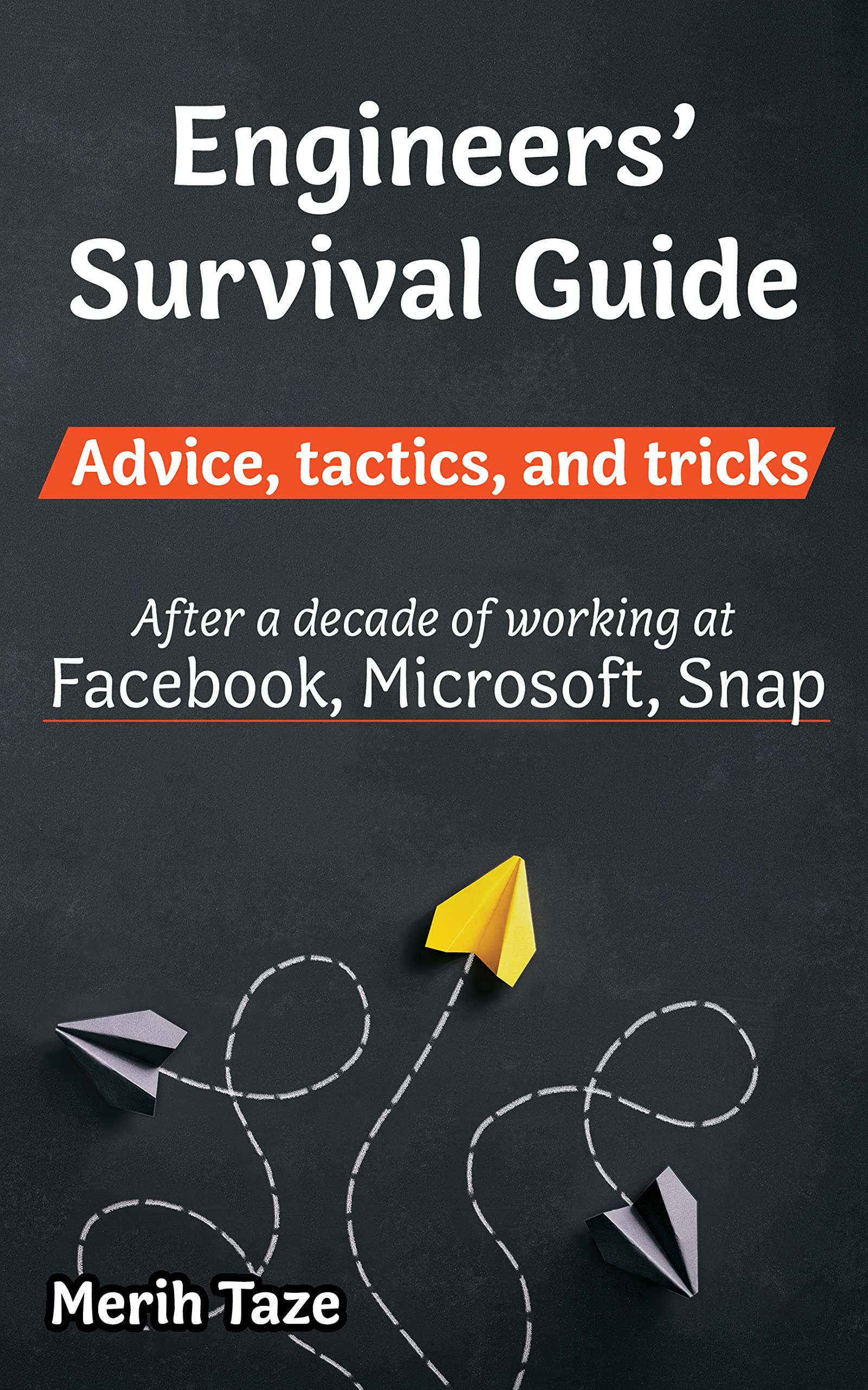 Engineers Survival Guide: Advice, tactics, and tricks After a decade of ...