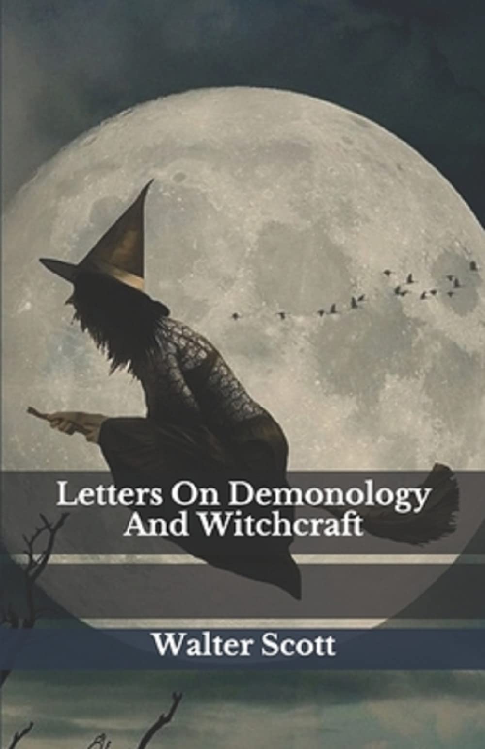 Letters on Demonology and Witchcraft illustrated by Walter Scott ...