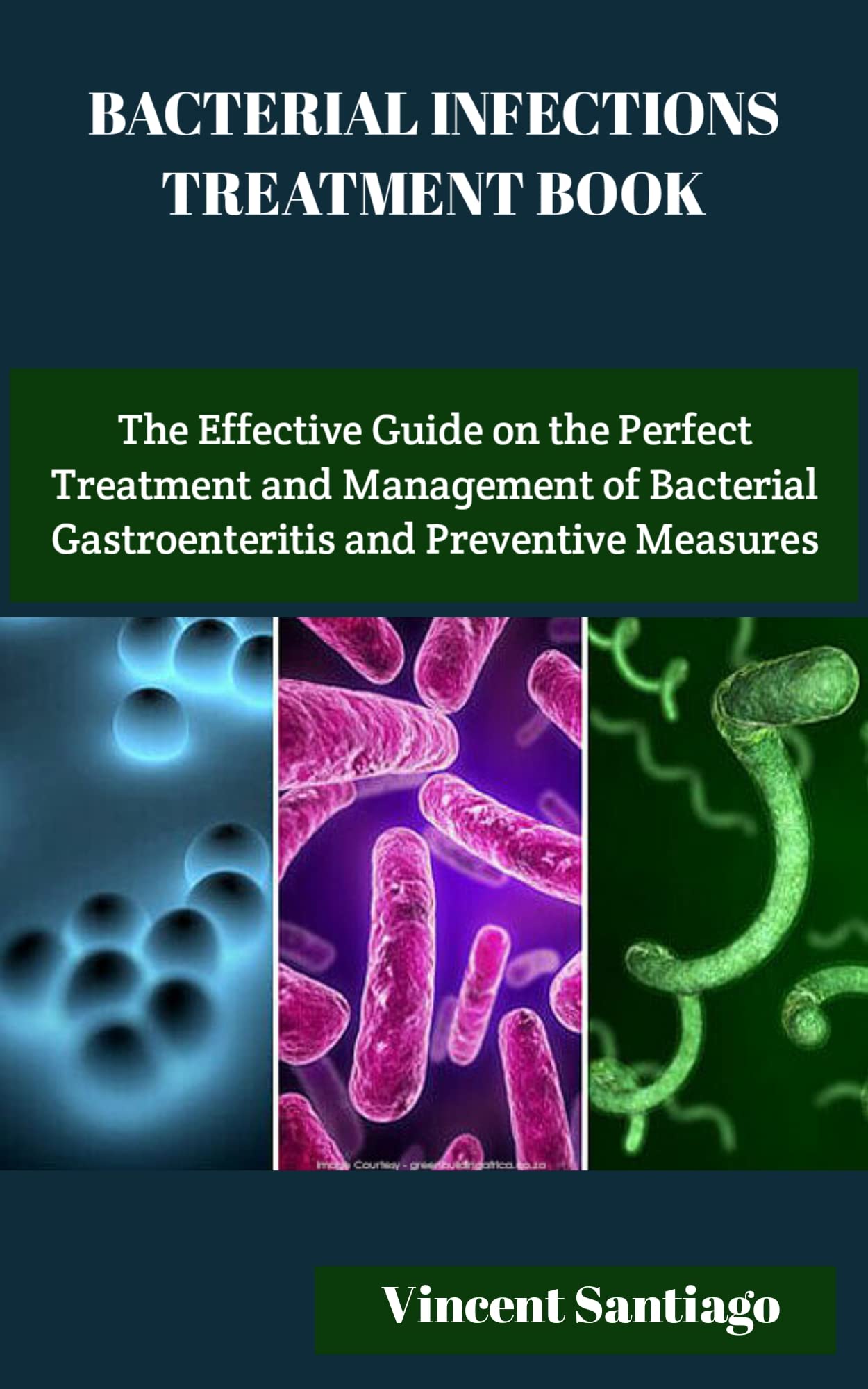 BACTERIAL INFECTIONS TREATMENT BOOK: The Effective Guide on the perfect ...