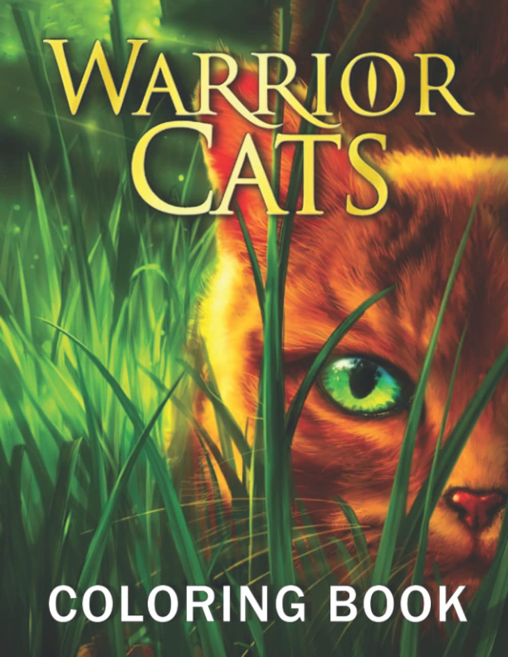 Warrior Coloring Book: A Beautiful Awesome Cats Anxiety Relaxing ...