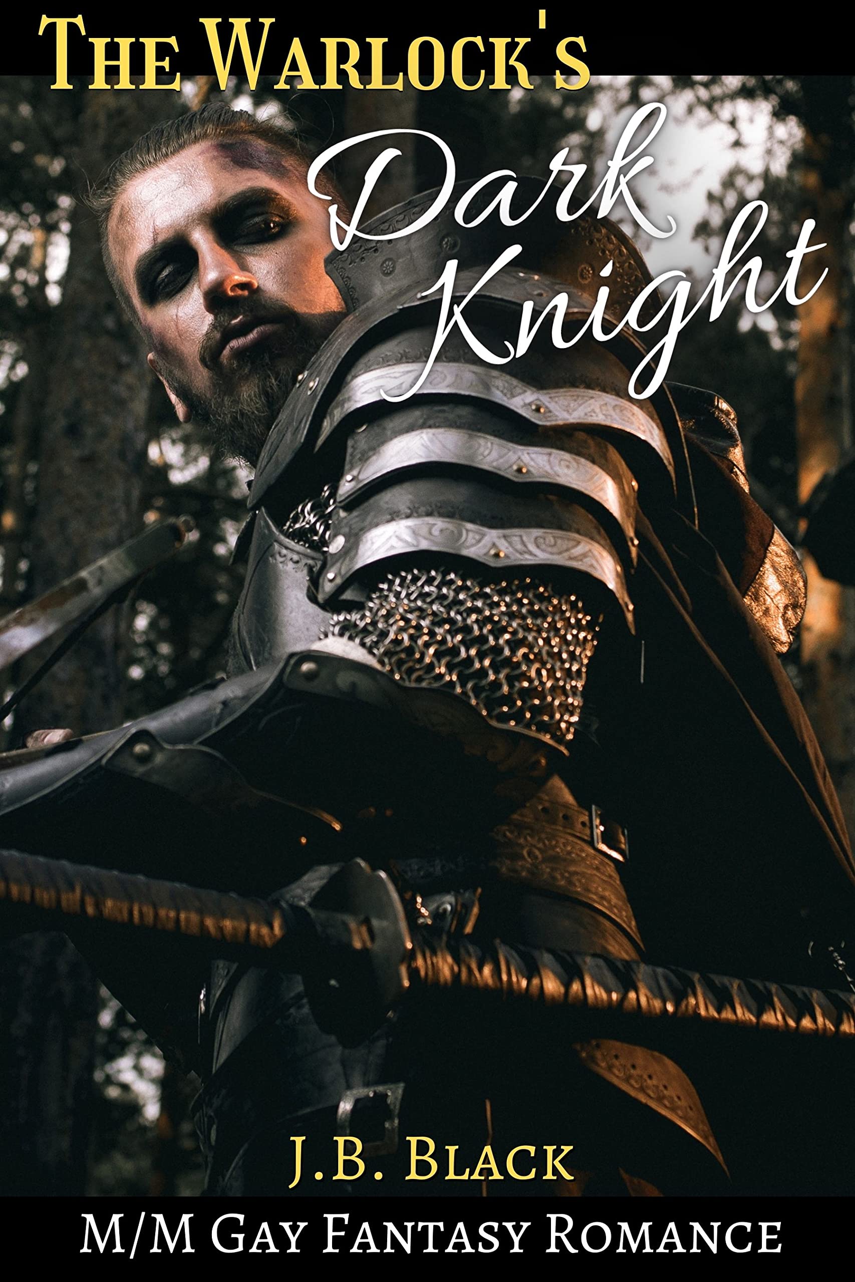 The Warlock's Dark Knight (Warlock's Fated Mate) by J.B. Black | Goodreads