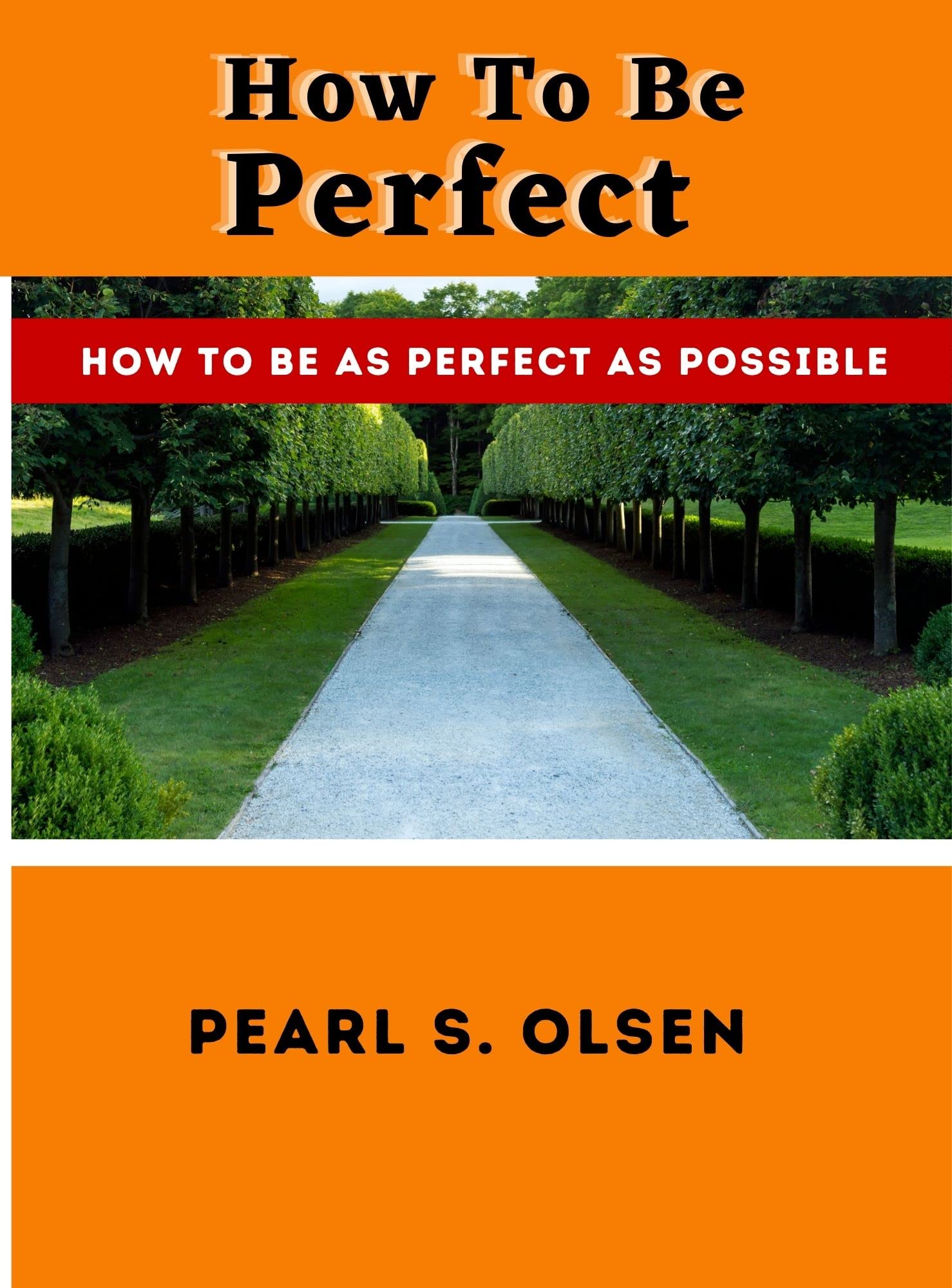How To Be Perfect : How to be as perfect as possible by Pearl Olsen ...