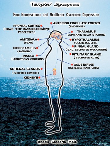 Tangled Synapses: How Neuroscience and Resilience Overcome Depression ...