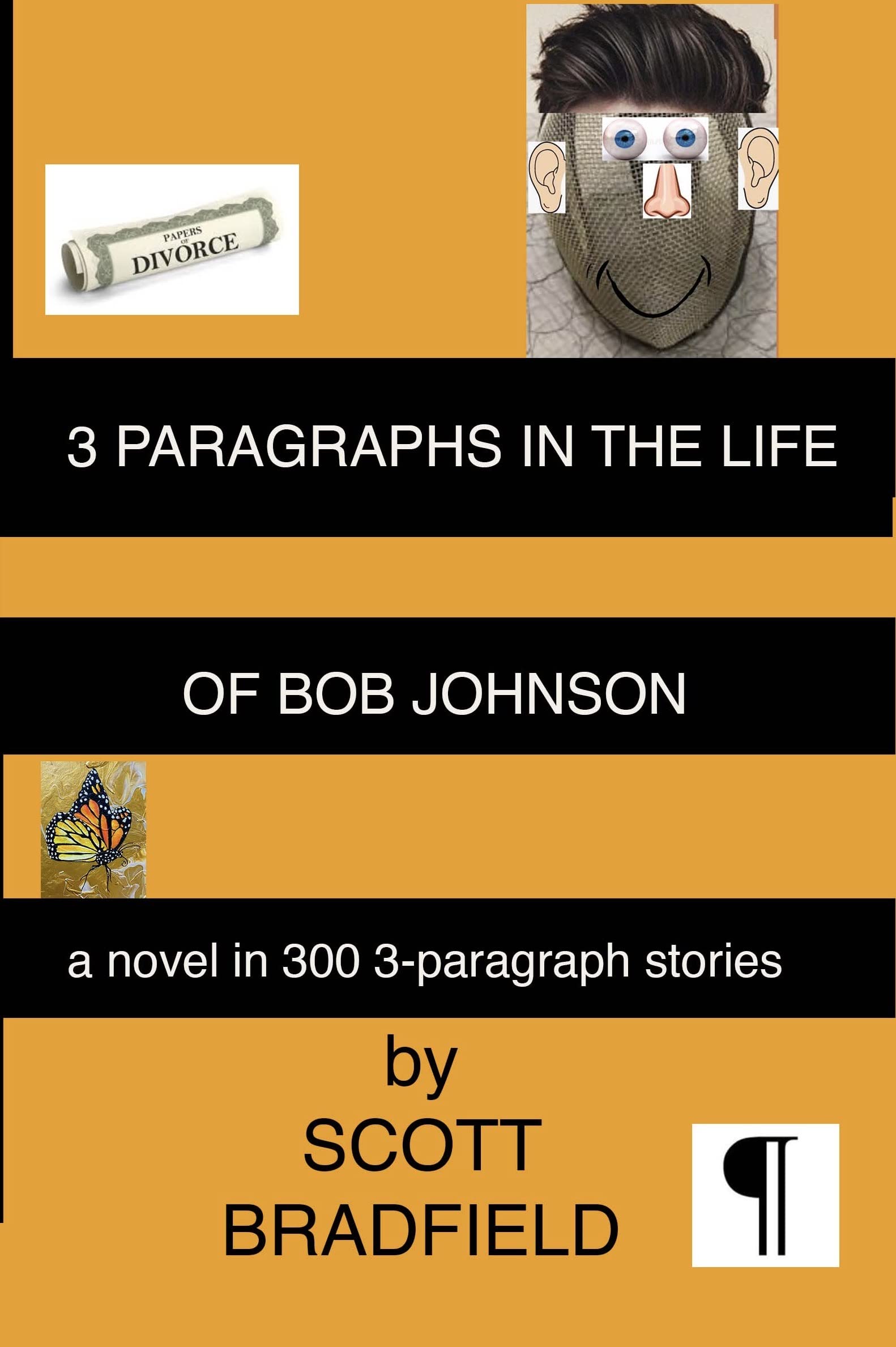 3 Paragraphs in the Life of Bob Johnson: A Novel in 300 3-Paragraph ...