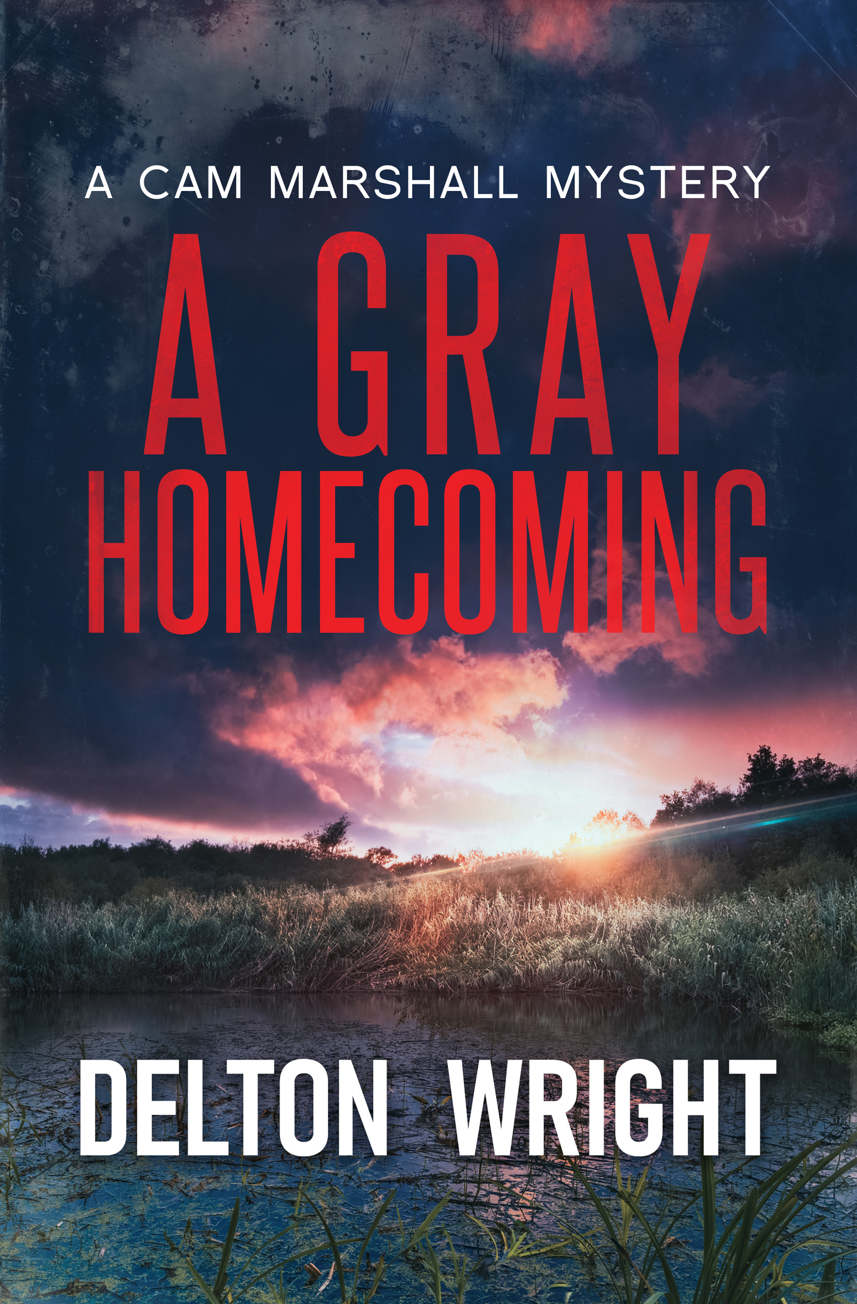 A Gray Homecoming (A Cam Marshall Mystery. #2) by Delton Wright | Goodreads