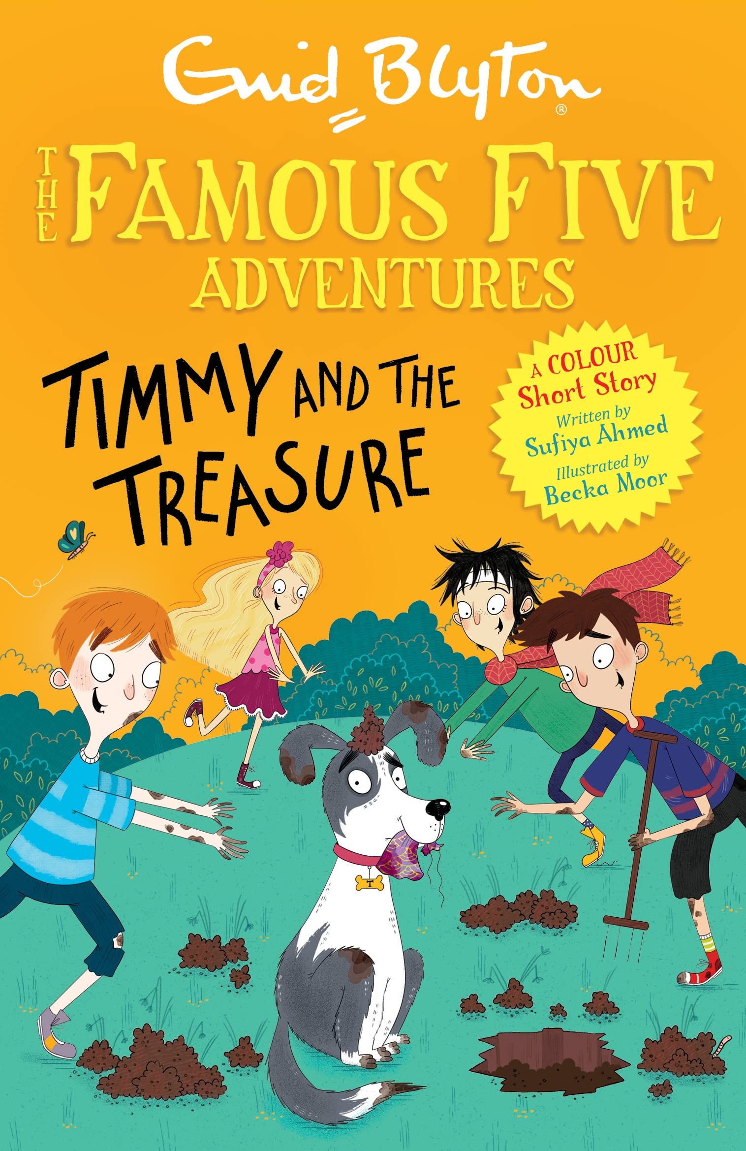 Famous Five Colour Short Stories: Timmy and the Treasure by Enid Blyton ...