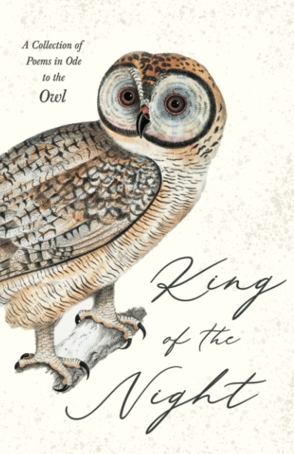 King of the Night - A Collection of Poems in Ode to the Owl by Various ...
