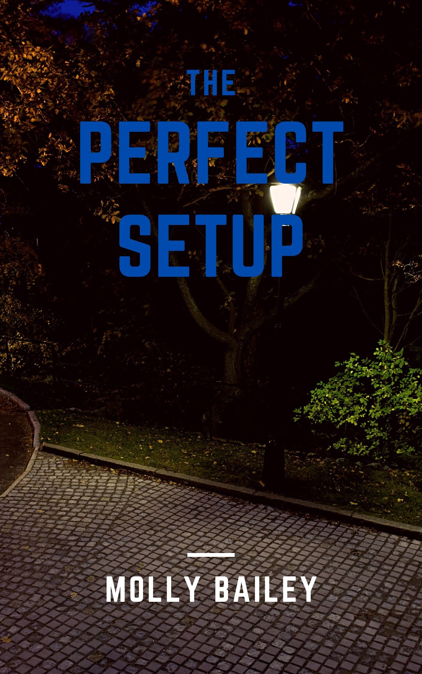The Perfect Setup by Molly Bailey | Goodreads