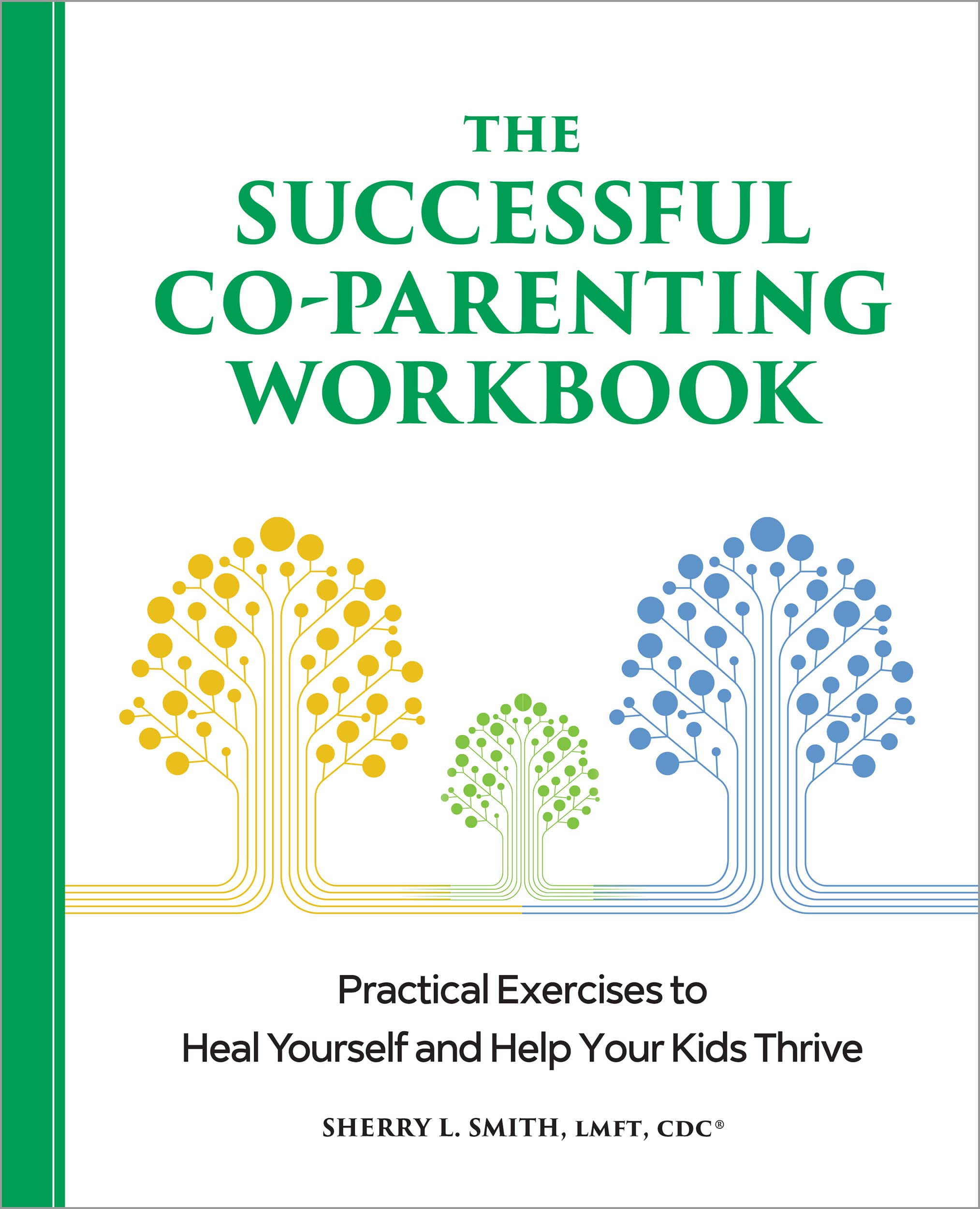 The Successful Co-Parenting Workbook: Practical Exercises to Heal ...