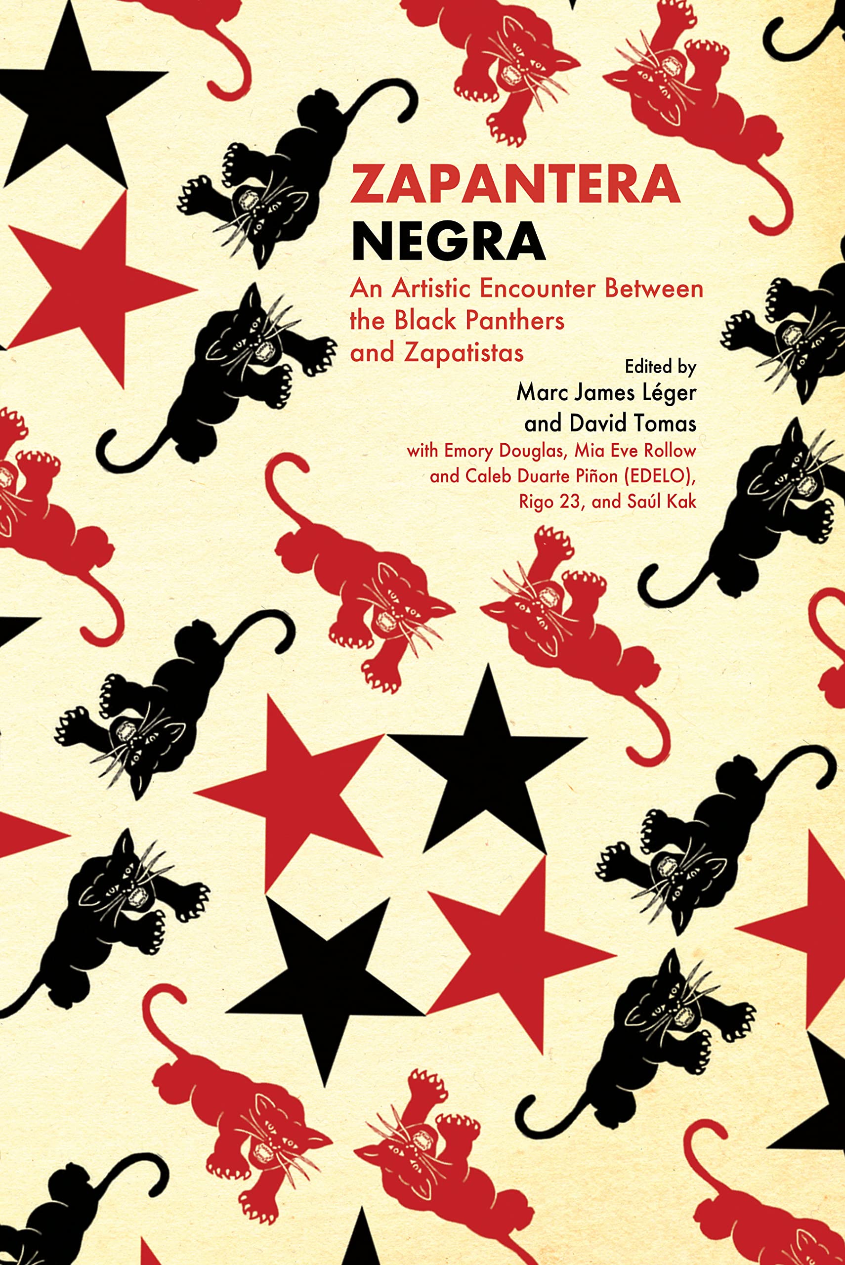 Zapantera Negra: An Artistic Encounter Between Black Panthers and ...