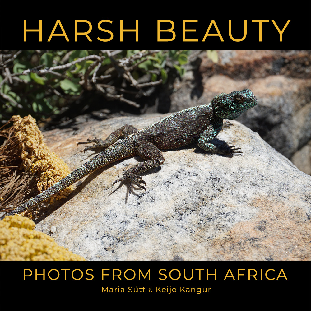Harsh Beauty: Photos from South Africa by Maria Sütt | Goodreads