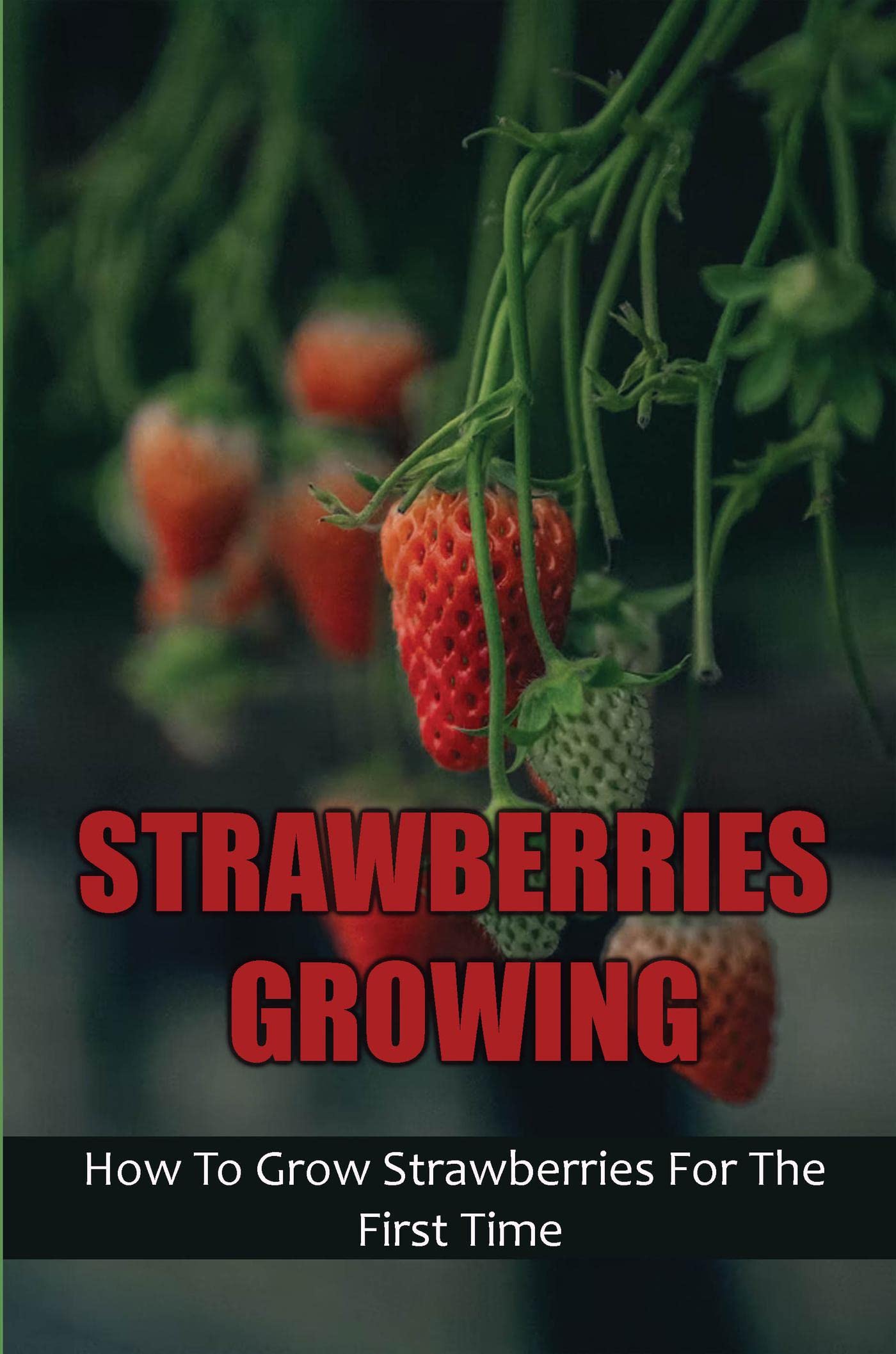 Strawberries Growing: How To Grow Strawberries For The First Time. by ...