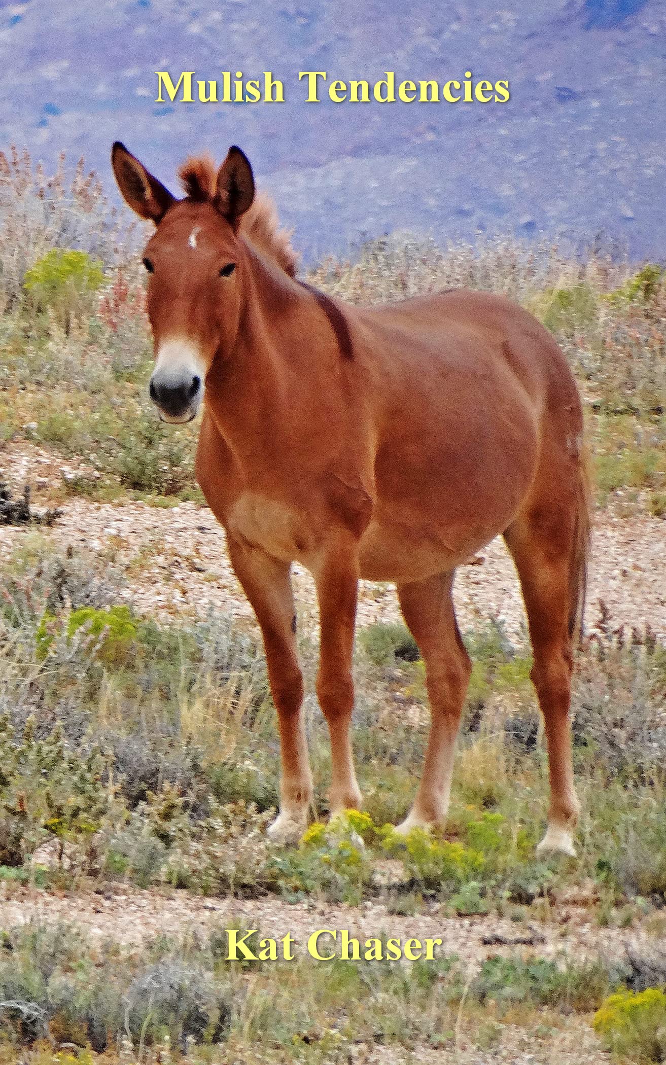 Mulish Tendencies: A Self Bondage Experiment by Kat Chaser | Goodreads