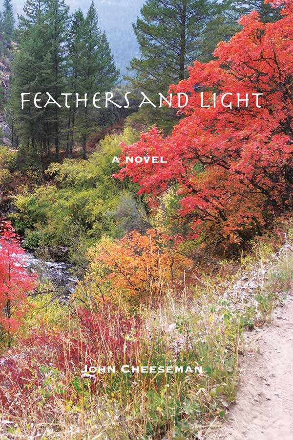 Feathers and Light by John Cheeseman | Goodreads