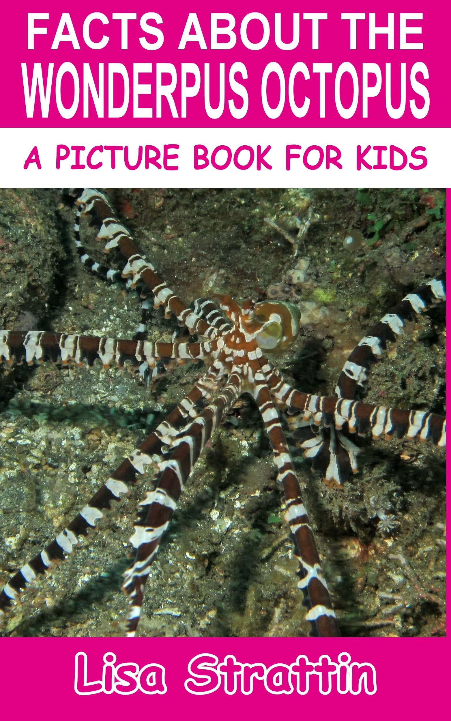 Facts About the Wonderpus Octopus by Lisa Strattin | Goodreads