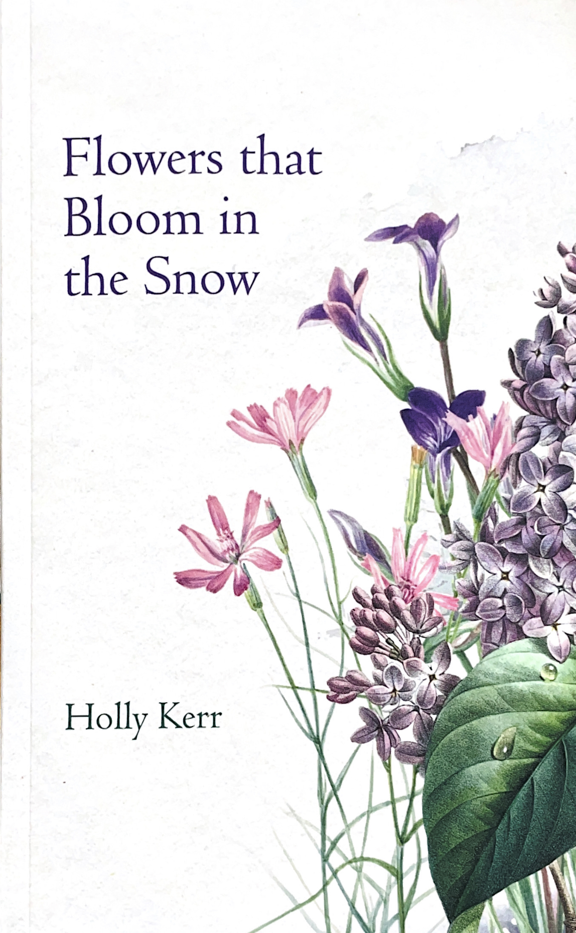 Flowers that Bloom in the Snow by Holly Kerr | Goodreads