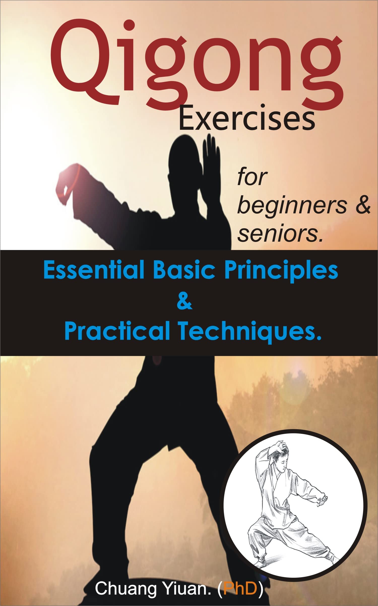 Qigong Exercises. For beginners & Seniors.: Essential Basic Principles ...