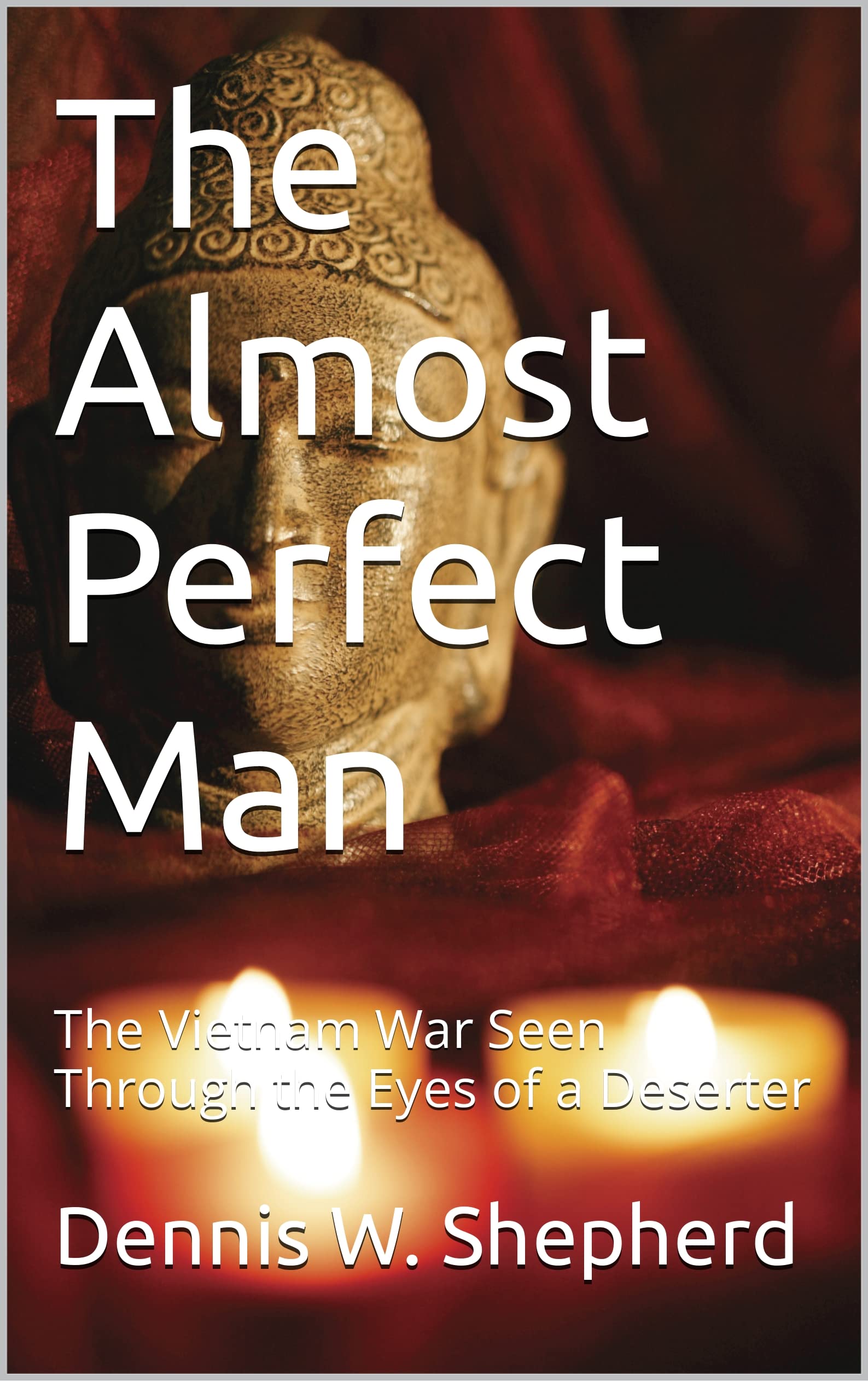 The Almost Perfect Man: The Vietnam War Seen Through the Eyes of a ...