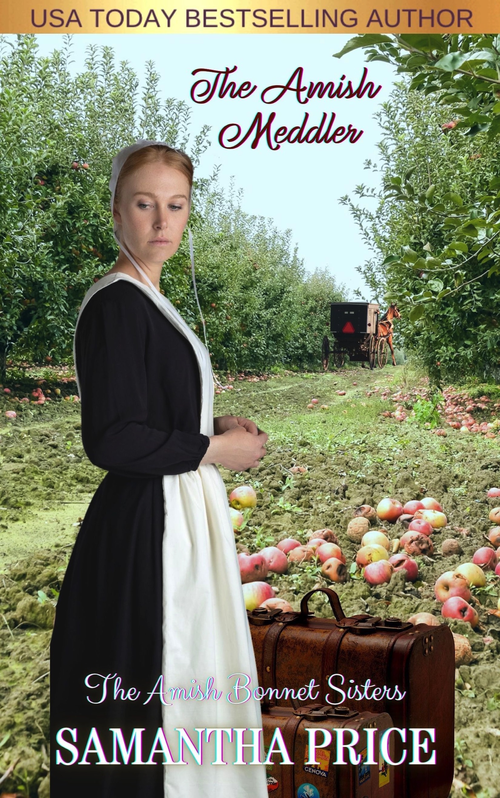 The Amish Meddler (The Amish Bonnet Sisters, #16) by Samantha Price ...