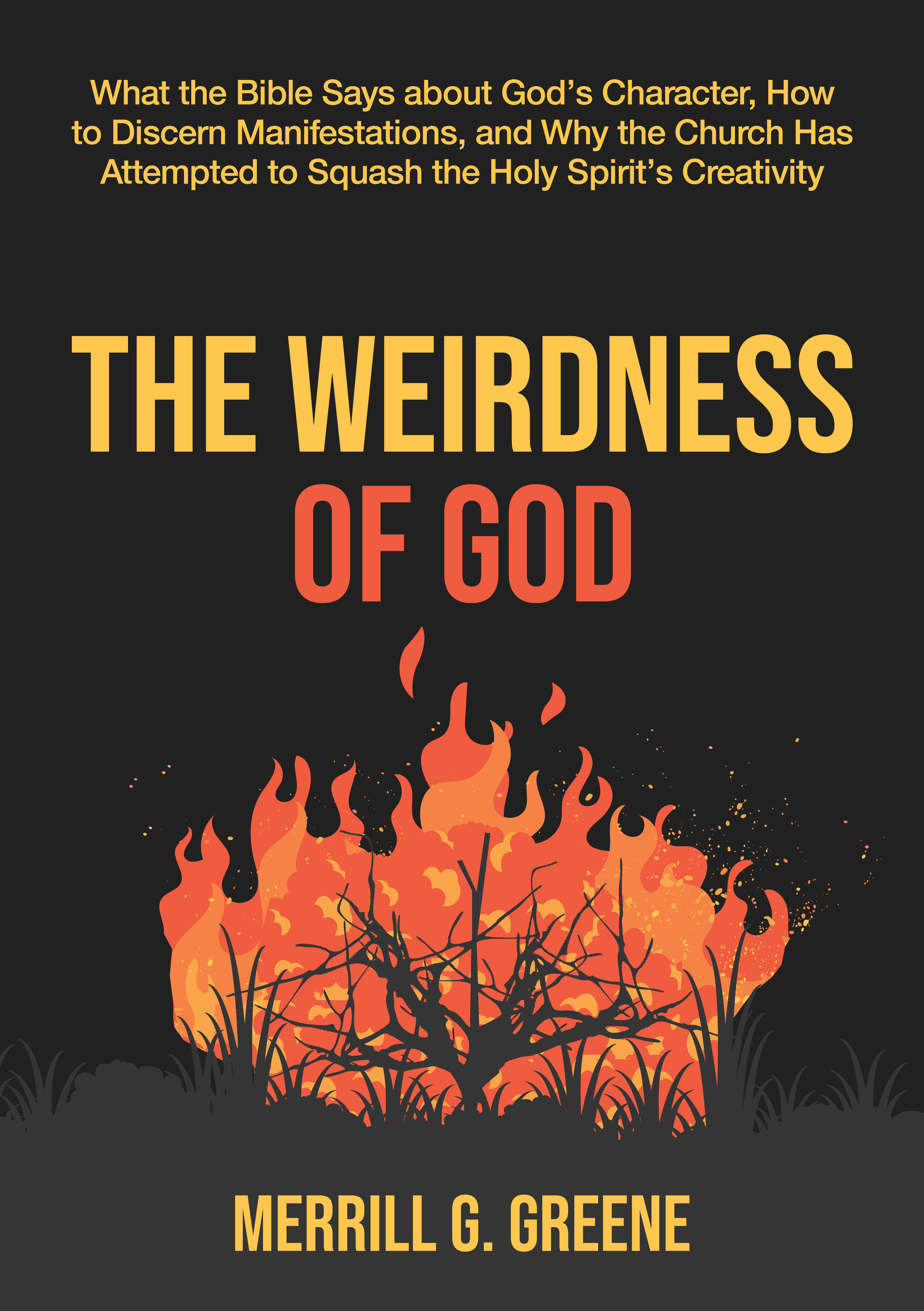 The Weirdness of God: What the Bible Says About God’s Character, How to ...