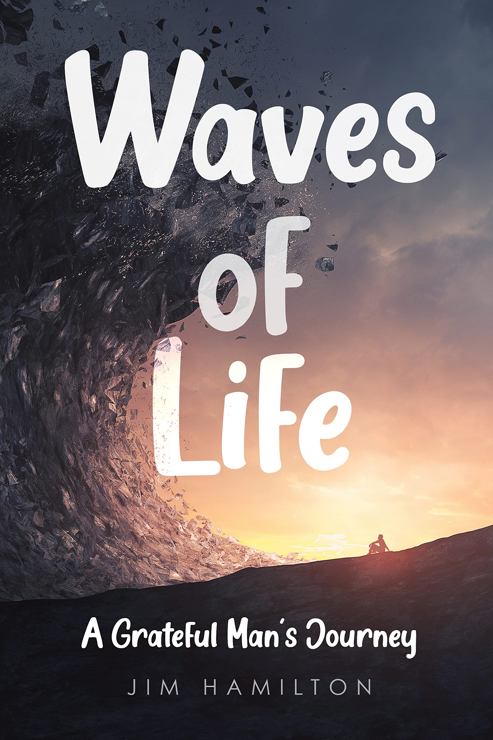 Waves of Life: A Grateful Man's Journey by Jim Hamilton | Goodreads