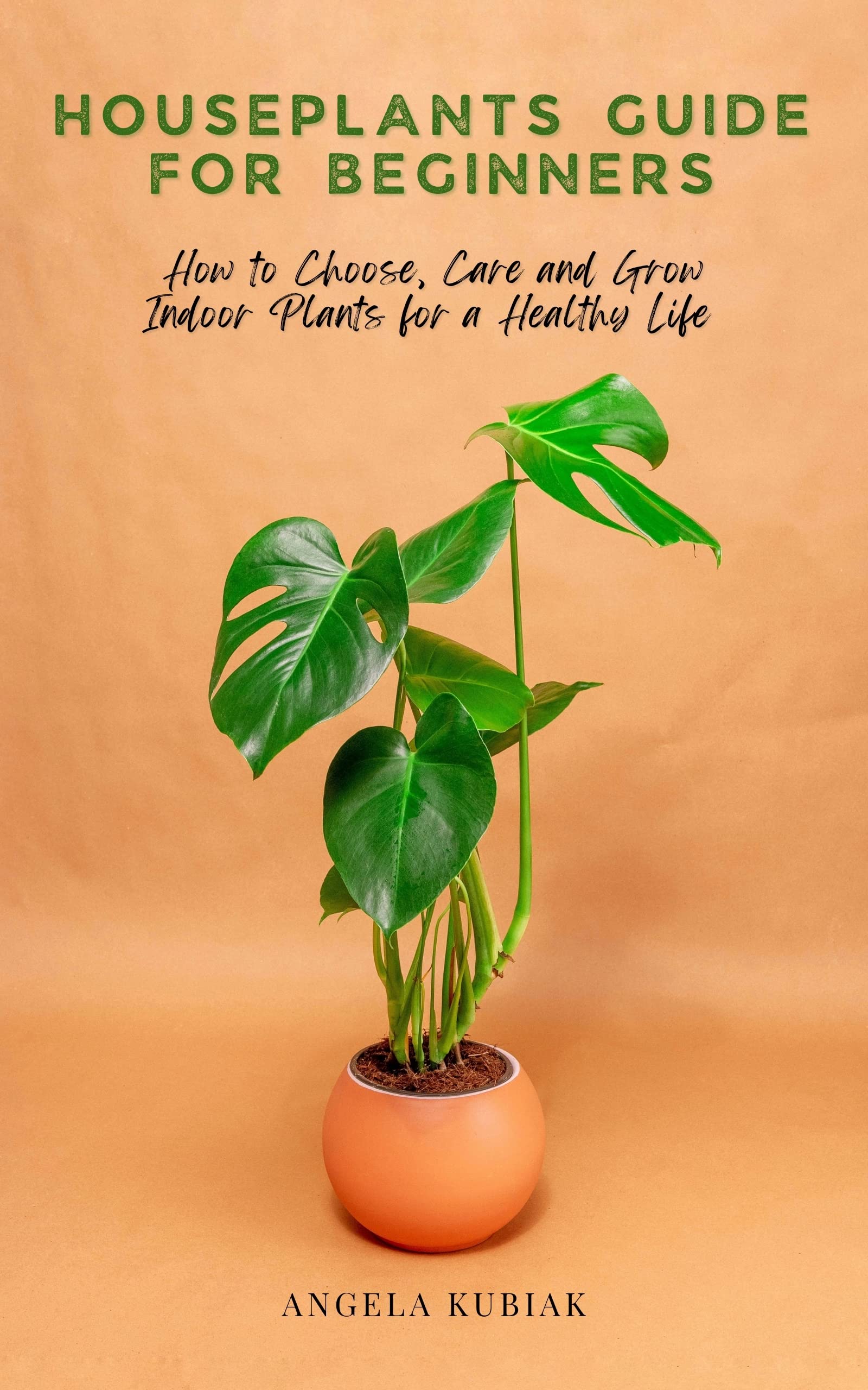 Houseplants Guide for Beginners: How to Choose, Care and Grow Indoor ...
