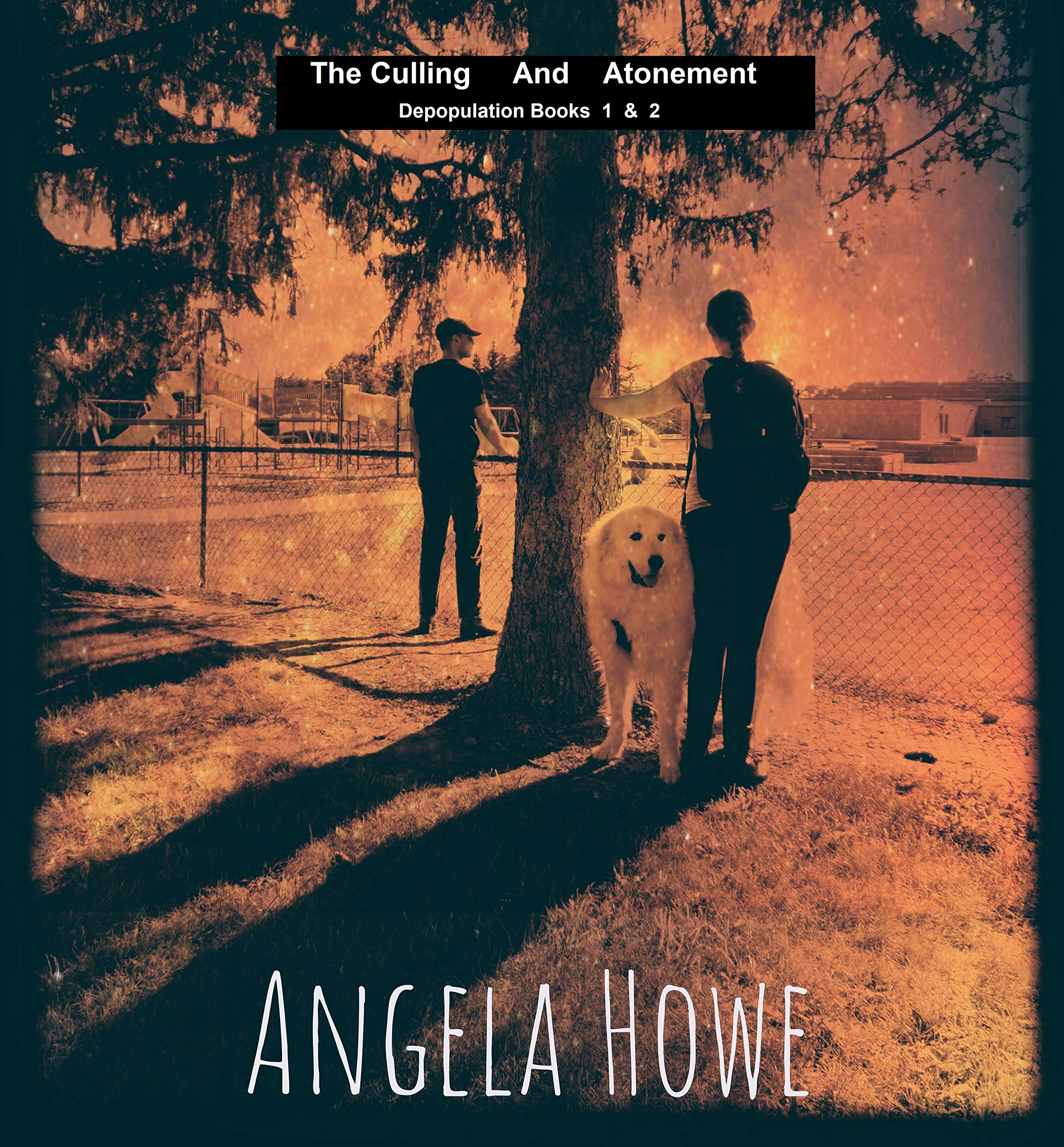 The Culling And Atonement: Depopulation Books 1 & 2 by Angela Howe ...