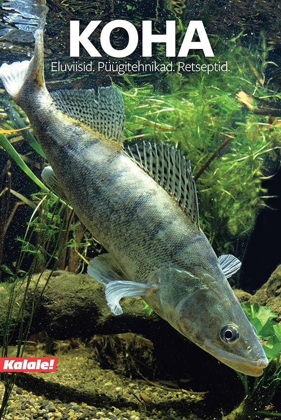 Koha: eluviisid. Püügitehnikad. Retseptid by Gerli Albert | Goodreads