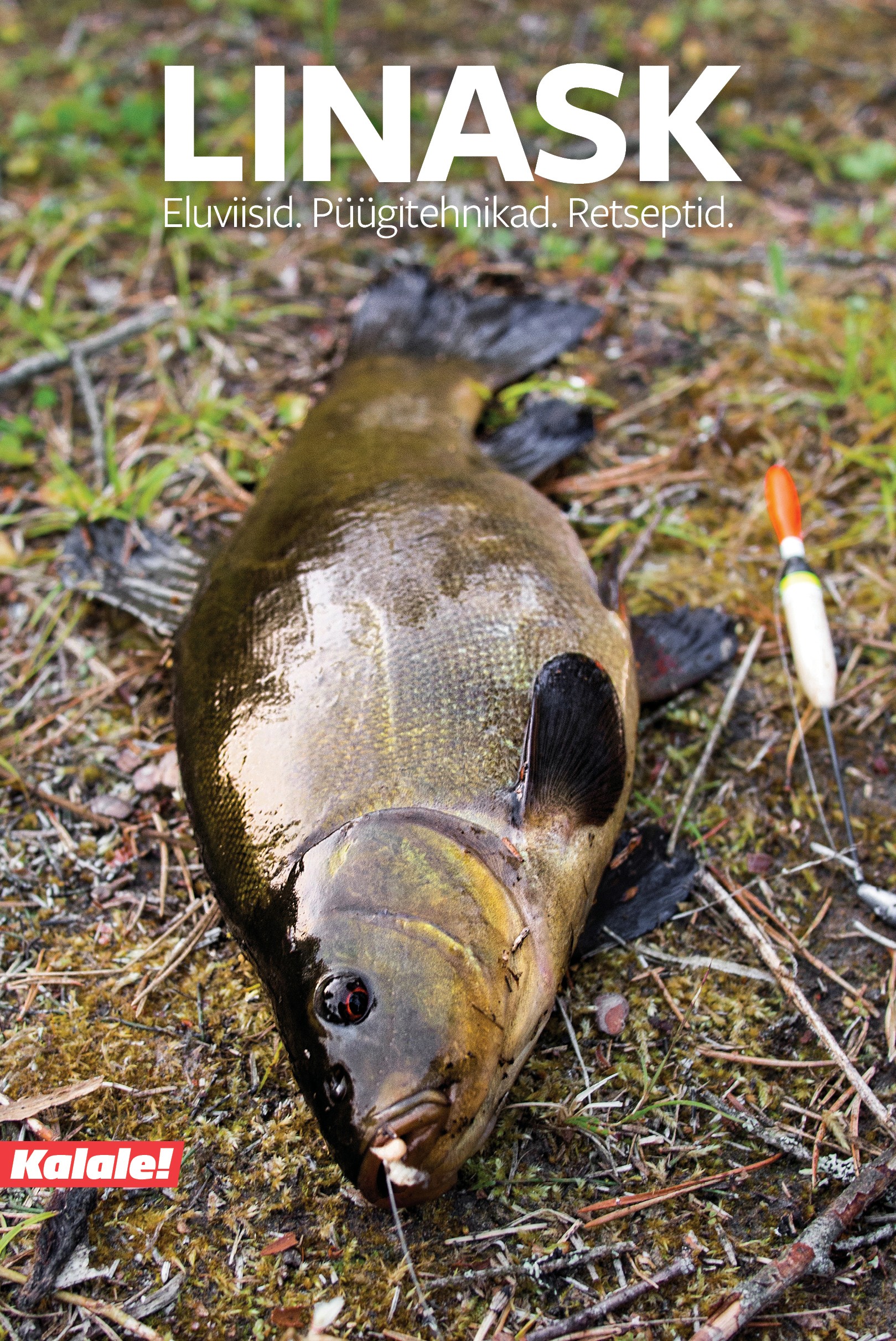 Linask: Eluviisid. Püügitehnikad. Retseptid by Gerli Albert | Goodreads