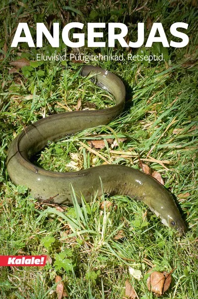 Angerjas: Eluviisid. Püügitehnikad. Retseptid by Ain Järvalt | Goodreads