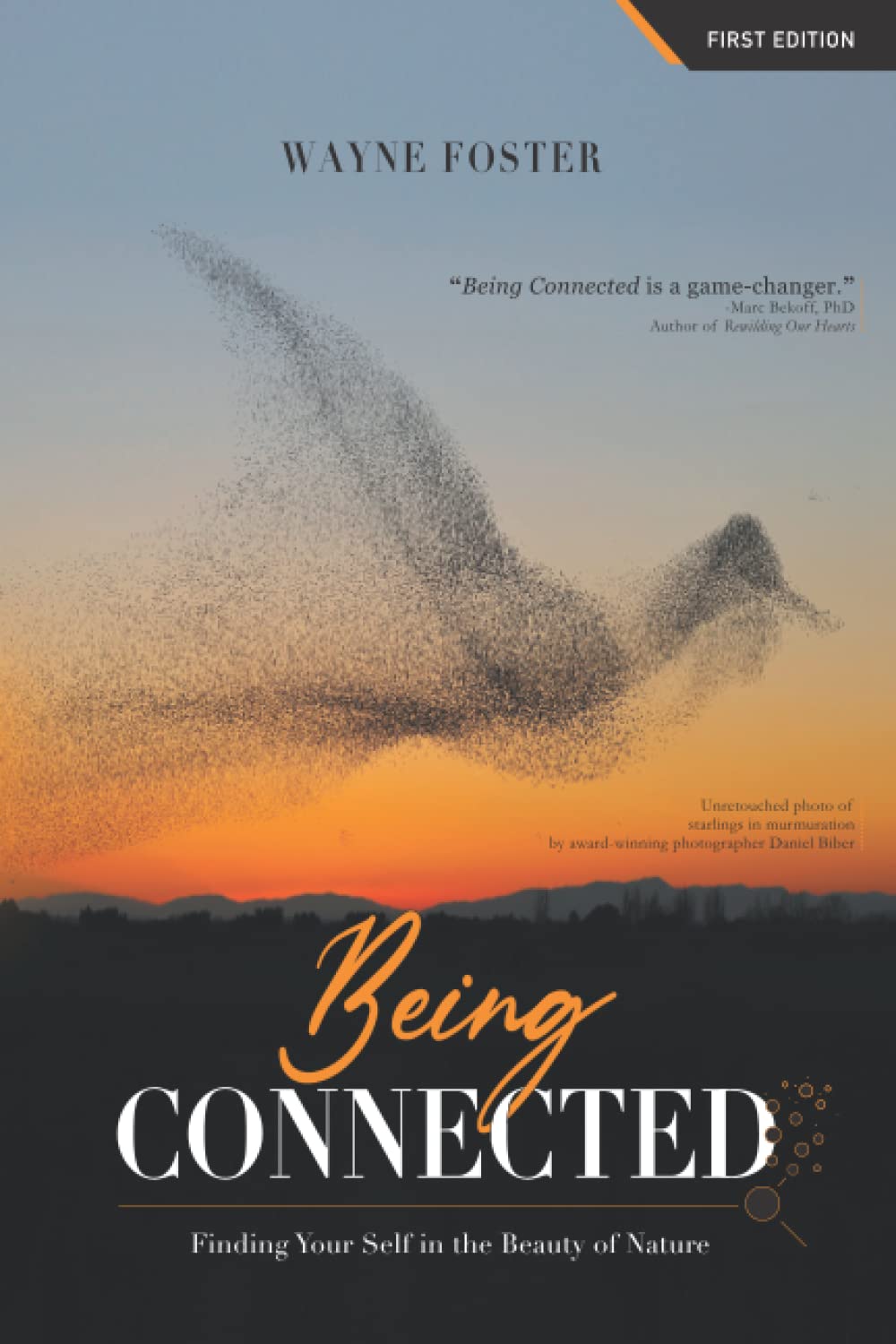 Being Connected: Finding Your Self in the Beauty of Nature by Wayne ...