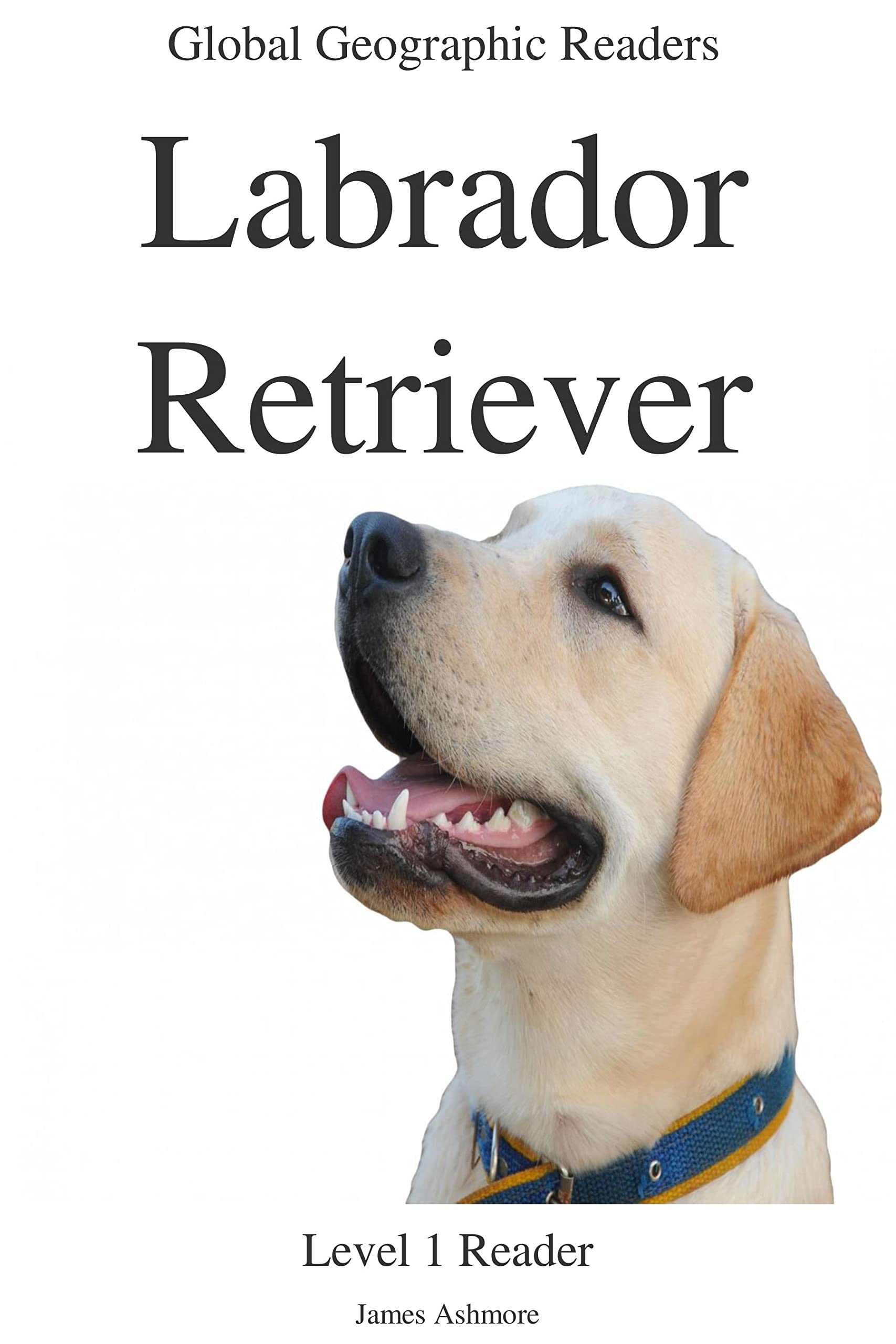 Global Geographic Readers Labrador Retriever: Kindergarten reading ...