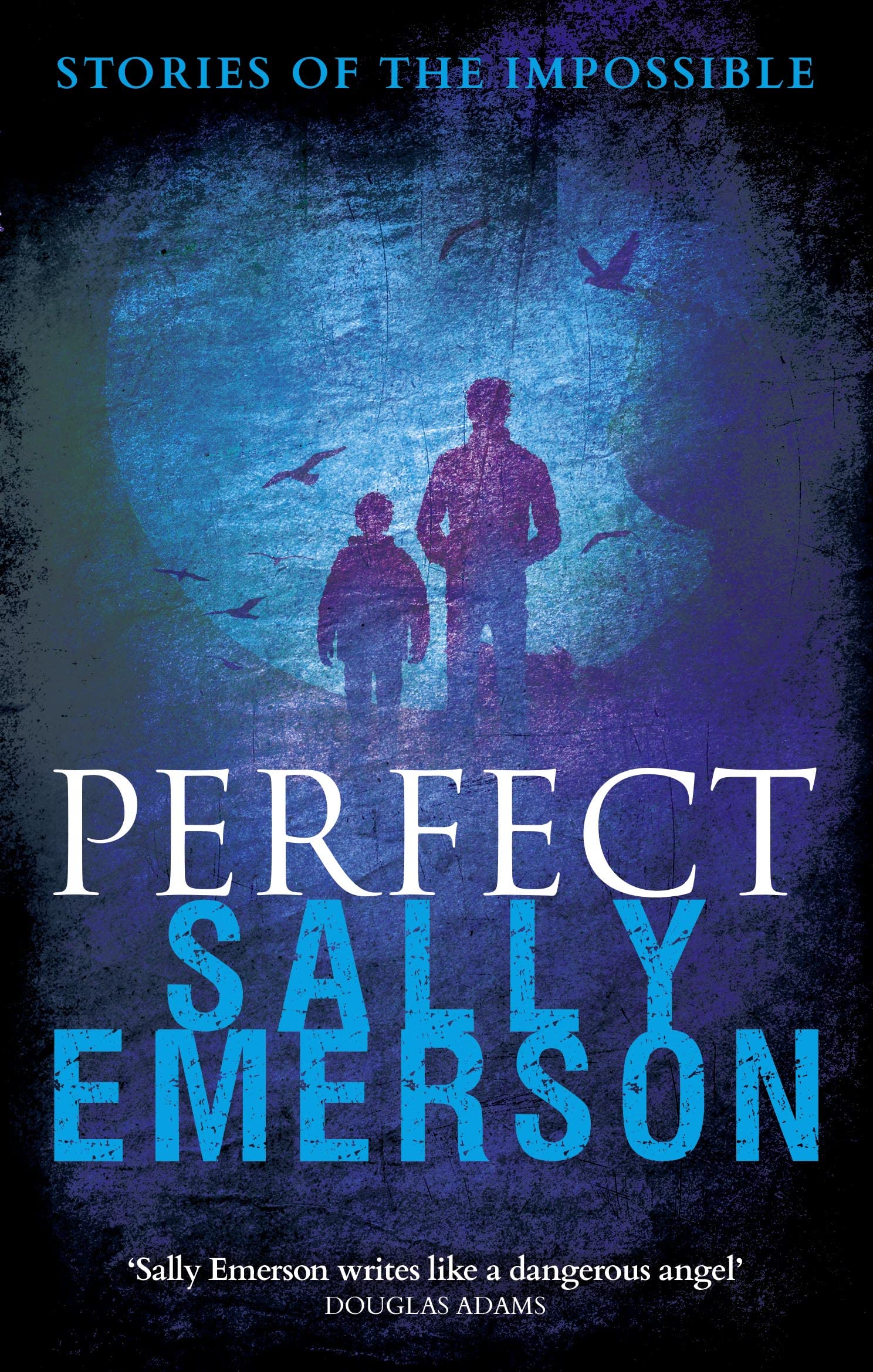 Perfect, Stories of the Impossible by Sally Emerson | Goodreads
